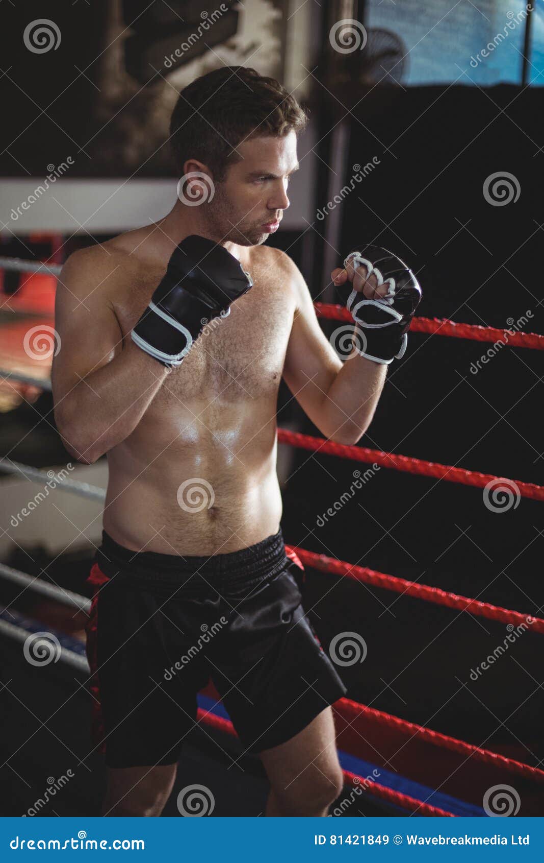 Confident Boxer Performing Boxing Stance Stock Image - Image of ...