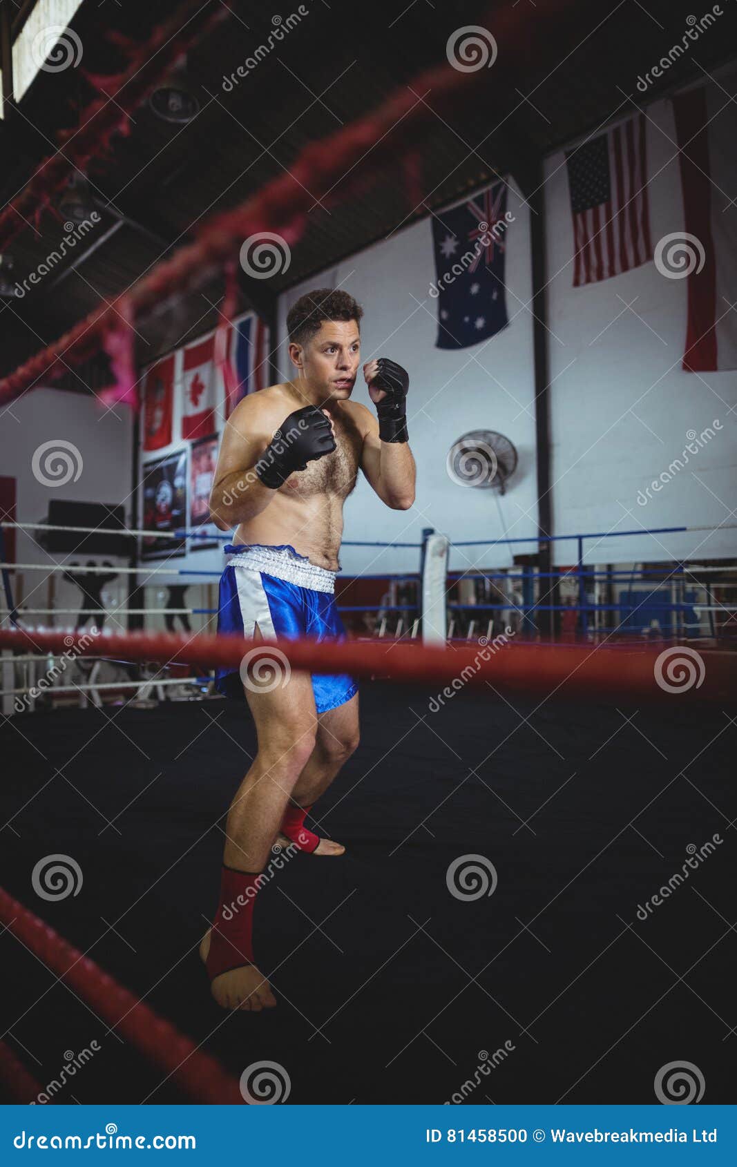 A Confident Boxer Portrait With Red Boxing Gloves Together. The Defend ...