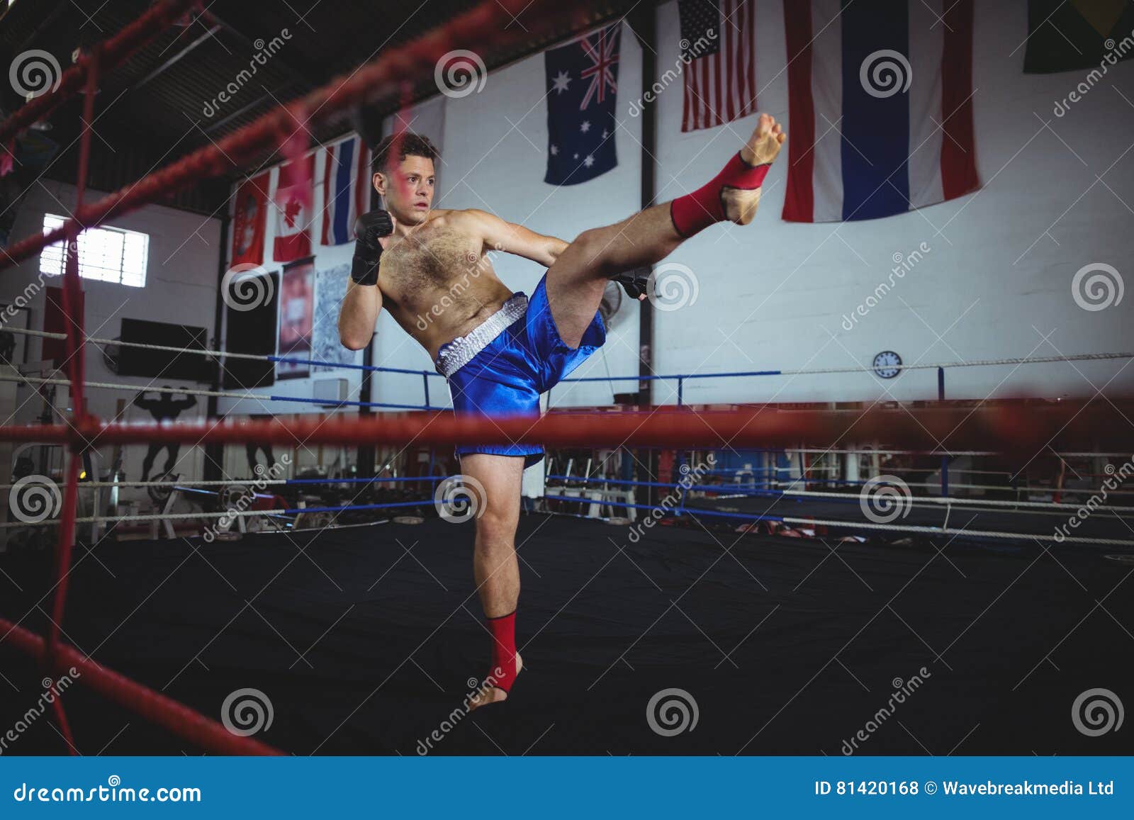 A Confident Boxer Portrait With Red Boxing Gloves Together. The Defend ...