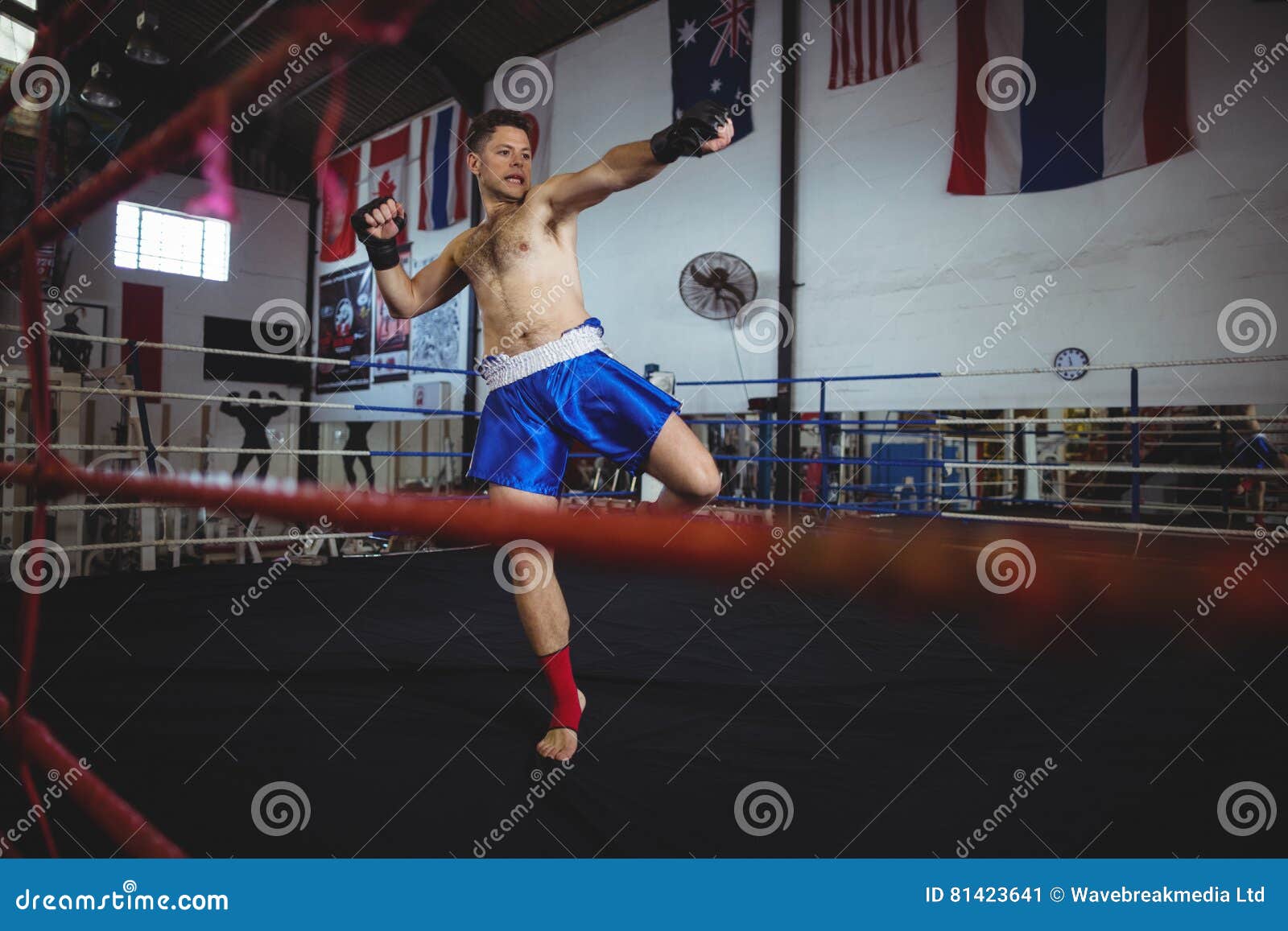 A Confident Boxer Portrait With Red Boxing Gloves Together. The Defend ...