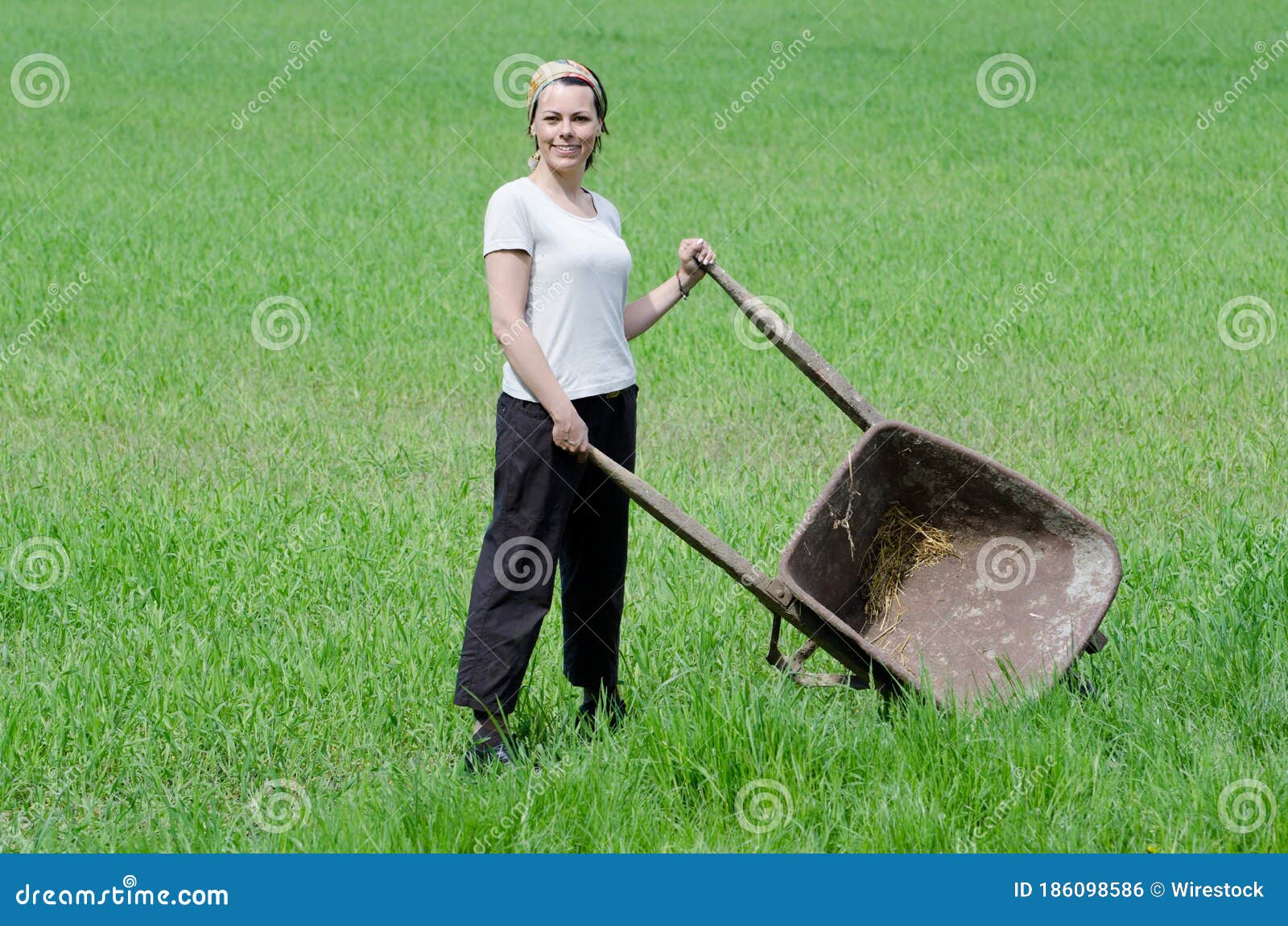 Working Wheelbarrow. Stock Photo | CartoonDealer.com #79534962