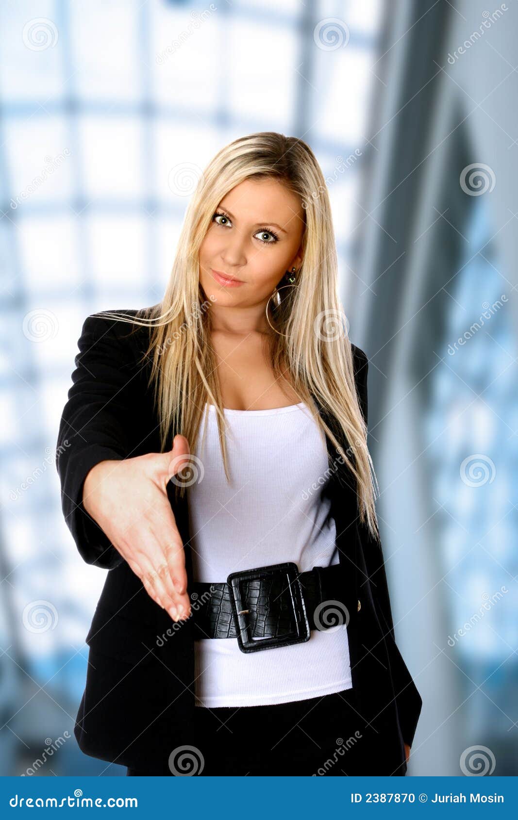Confident handshake stock photo. Image of handshake, executive - 2387870