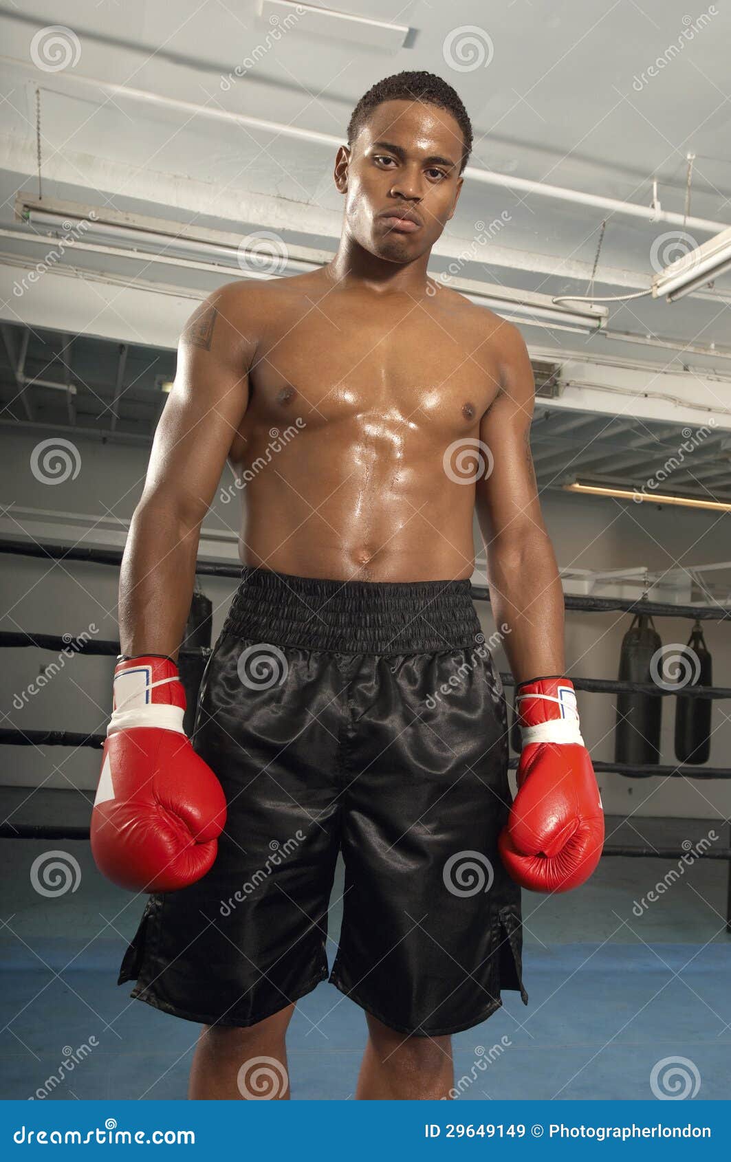 Confident Male Boxer Standing Stock Image - Image of muscular ...