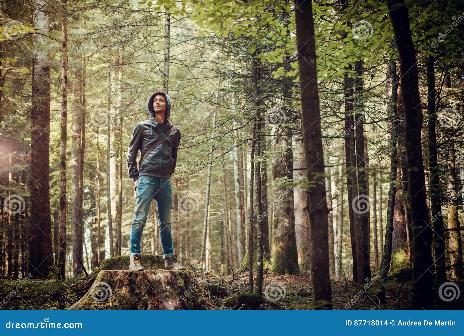 Confident Man Standing in the Forest Stock Photo - Image of freedom ...