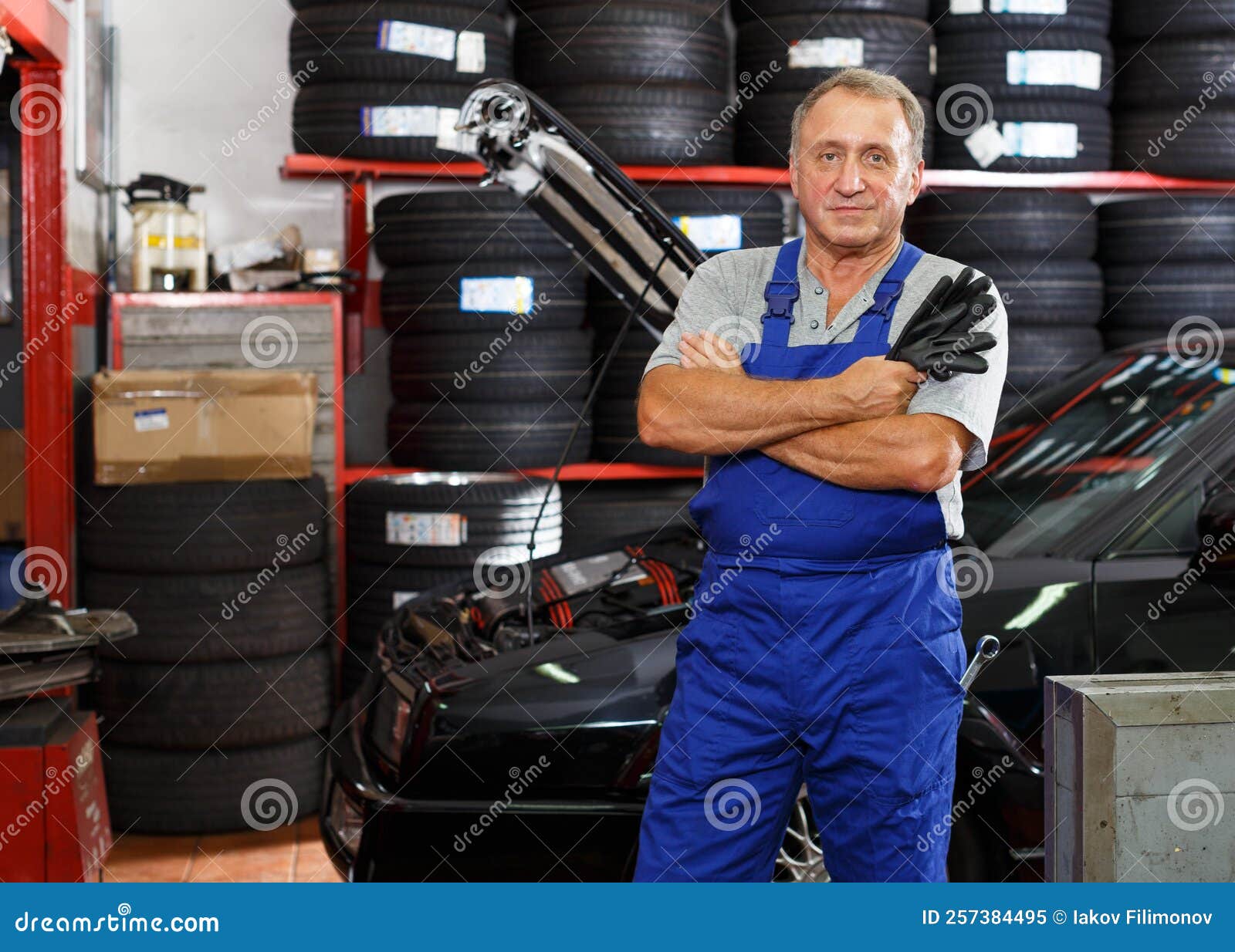 Confident Professional Mechanic Stock Image - Image of emotion ...