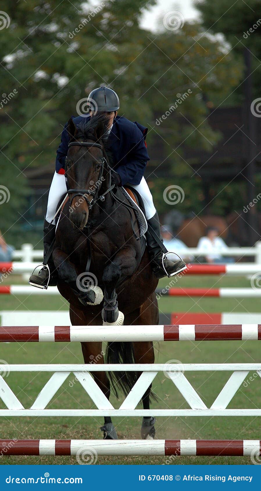 Confident rider and horse stock photo. Image of equestrian - 670408