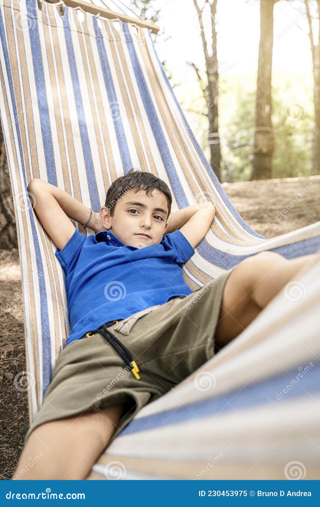 Confident Young Caucasian Boy in Hammock Stock Image - Image of forest ...