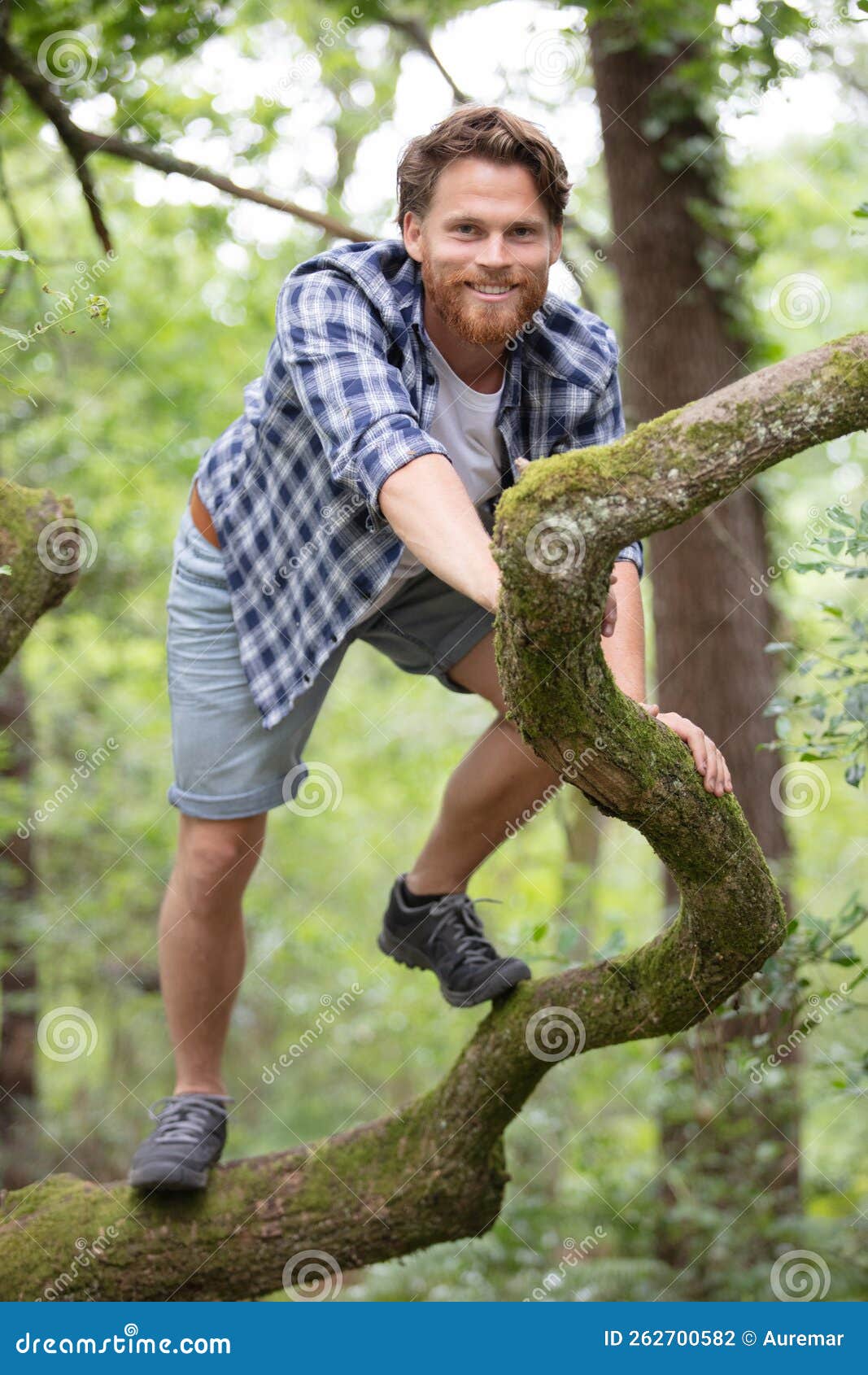 Confident Young Man on Top Tree Stock Photo - Image of happiness ...