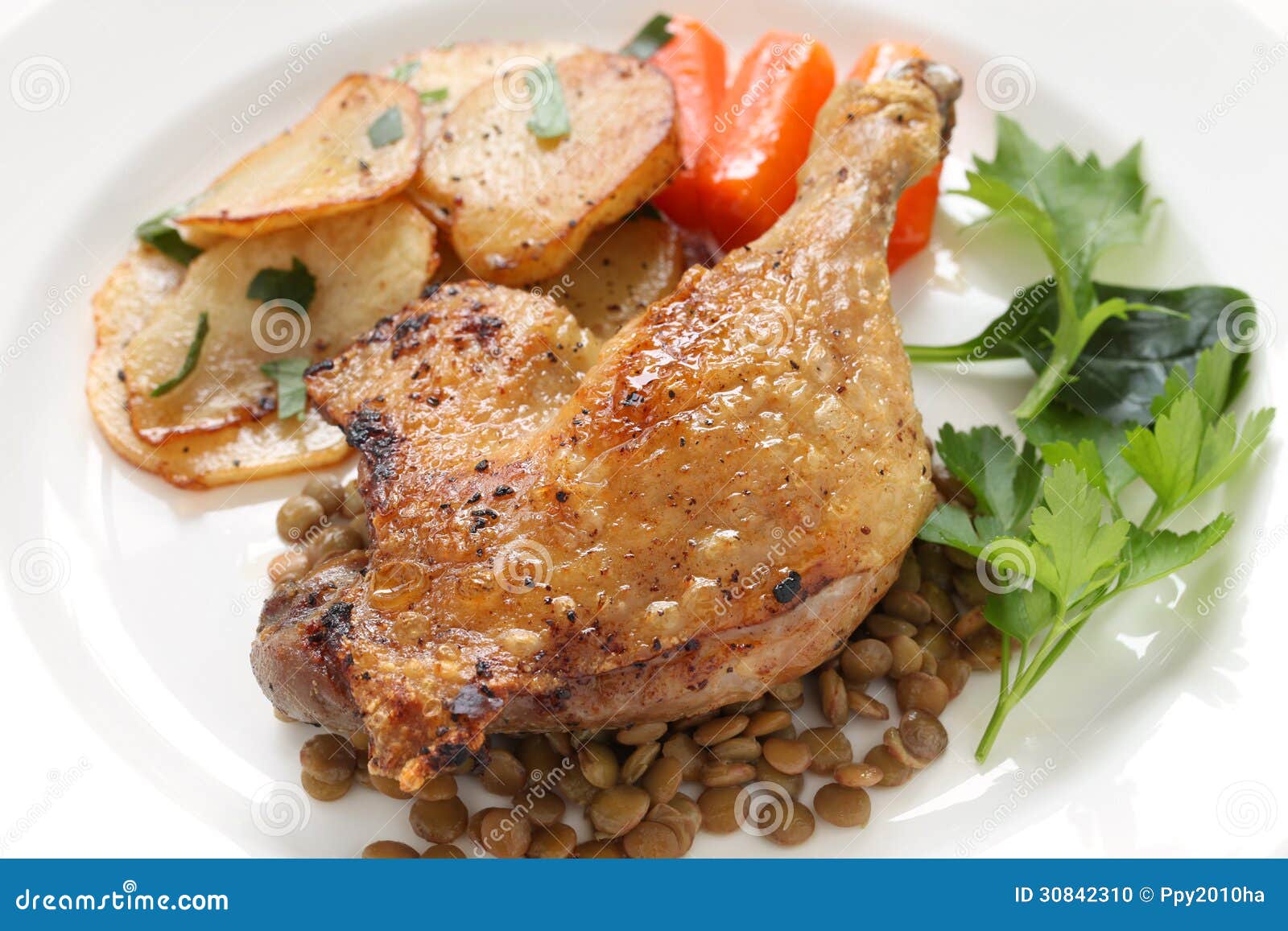 Confit dell'anatra fotografia stock. Immagine di tradizionale - 30842310