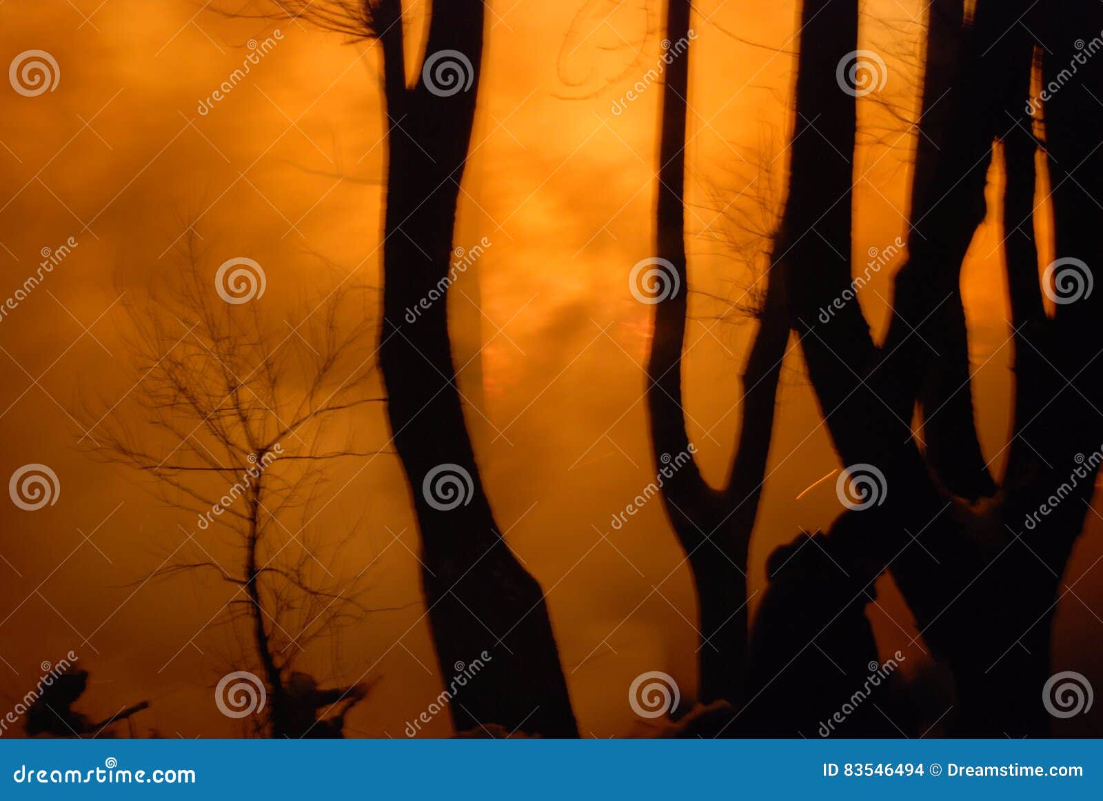 Conflagration / Burning/ Firefighters /fire, People on Fire Stock Photo ...