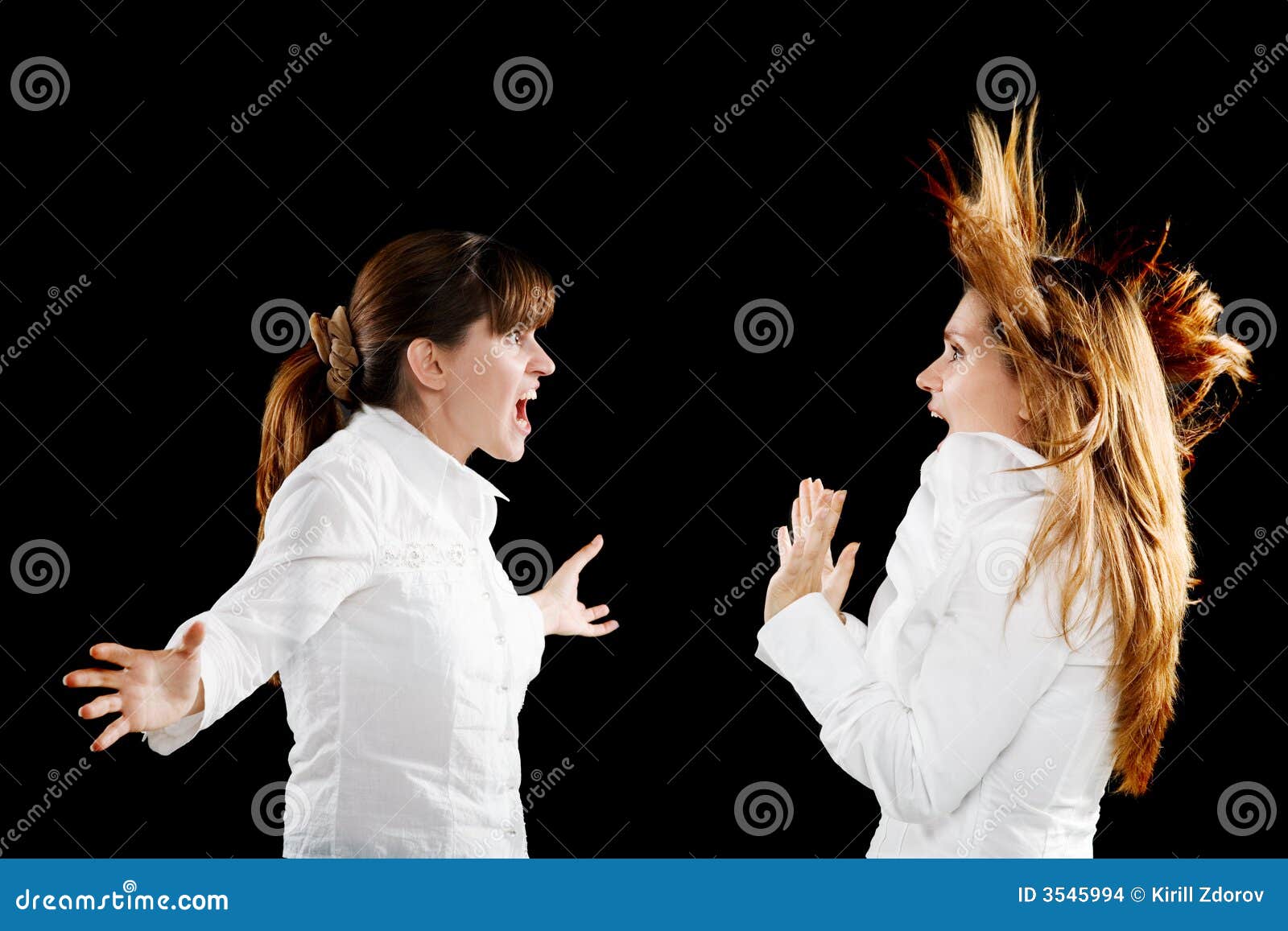 Conflict stock photo. Image of arguing, furious, isolated - 3545994