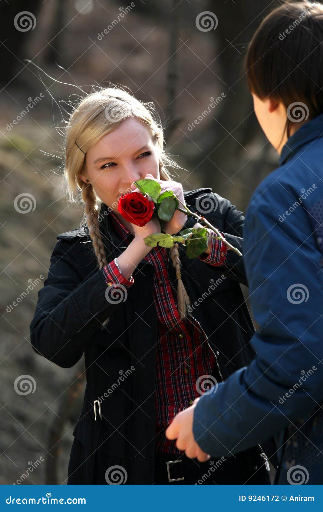 Conflict between couple stock photo. Image of rose, boyfriend - 9246172
