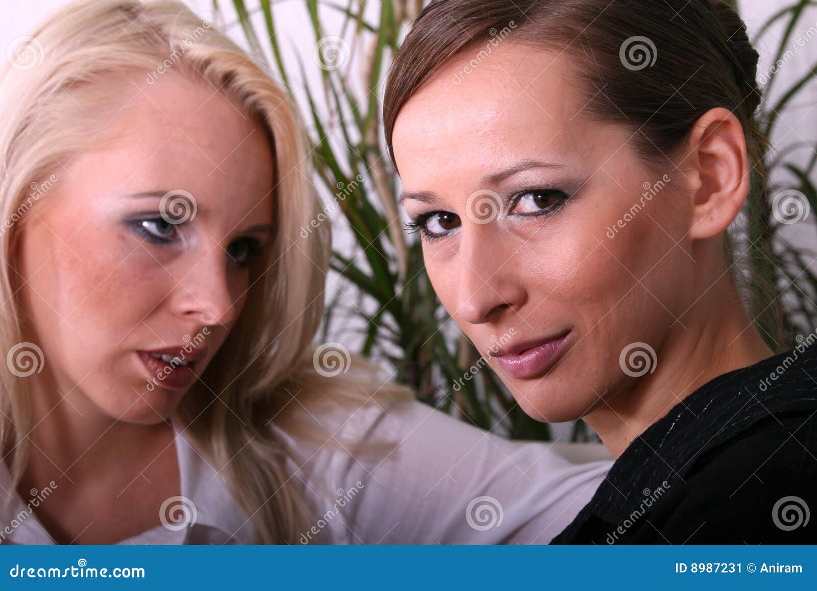 Conflict situation stock image. Image of talk, women, conversation ...