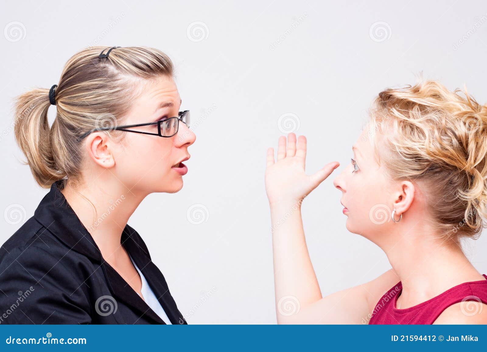 Conflict at workplace stock photo. Image of battle, disagreement - 21594412
