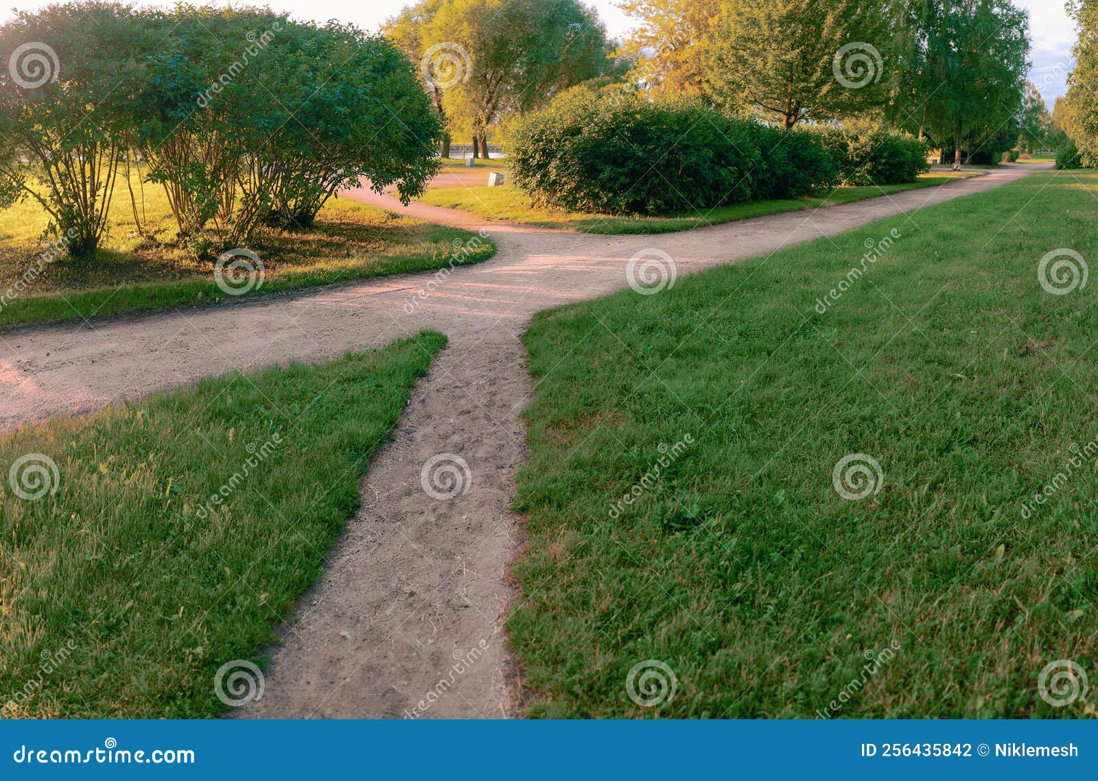 Confluence and Intersection of Straight Walking Paths in Different ...