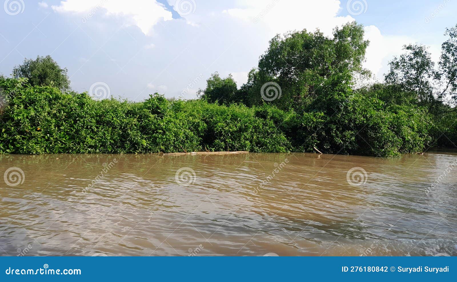 Confluence of River and Sea Water Stock Photo - Image of tree, marsh ...