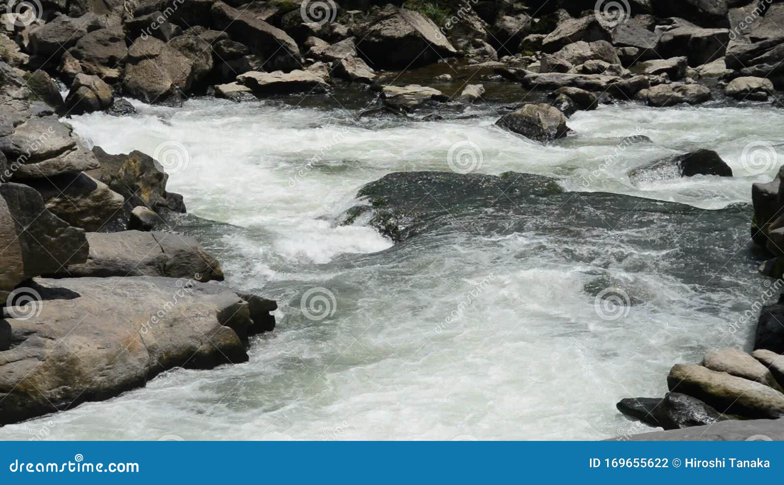 Confluence of the river stock footage. Video of nature - 169655622