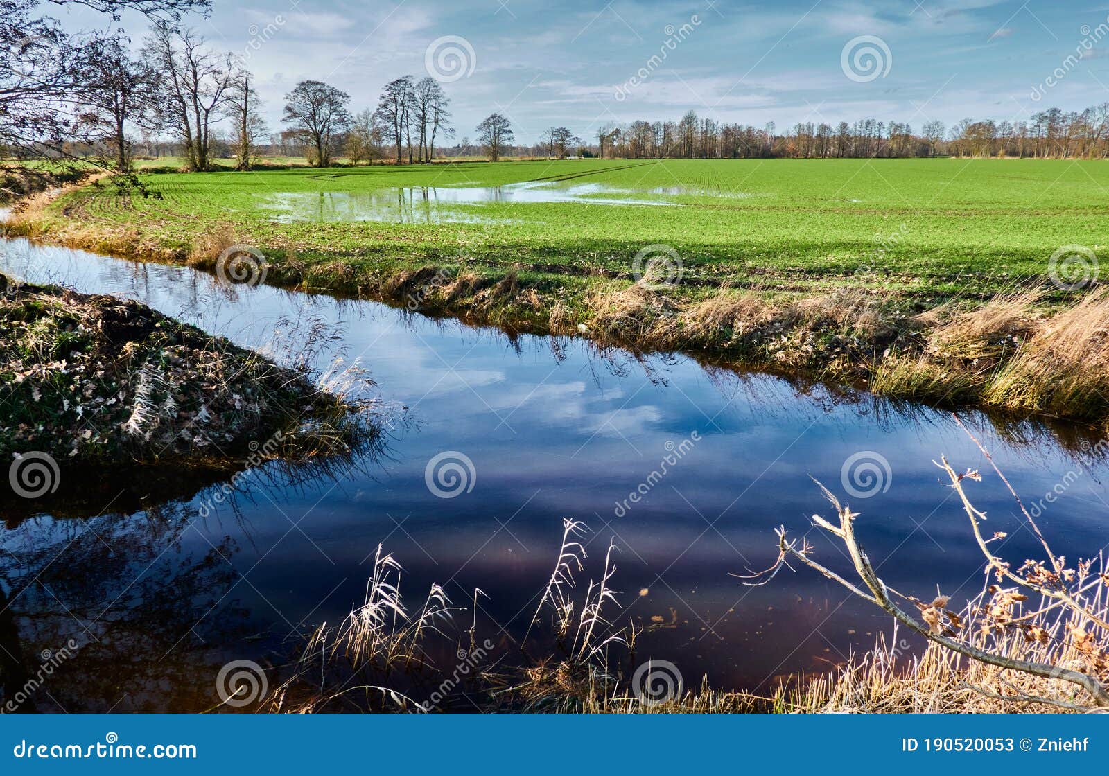 489 Artificial Swamp Stock Photos - Free & Royalty-Free Stock Photos ...