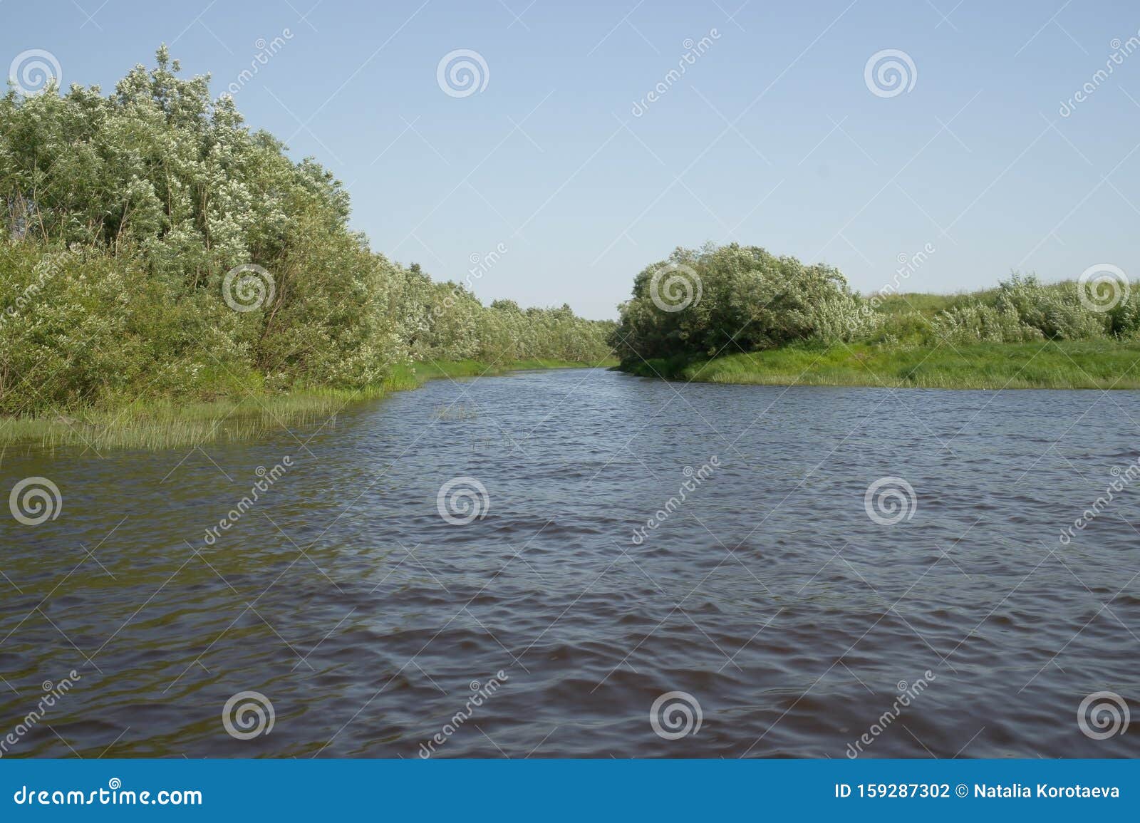 Confluence of two rivers stock photo. Image of water - 159287302