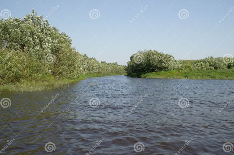 Confluence of two rivers stock photo. Image of water - 159287302