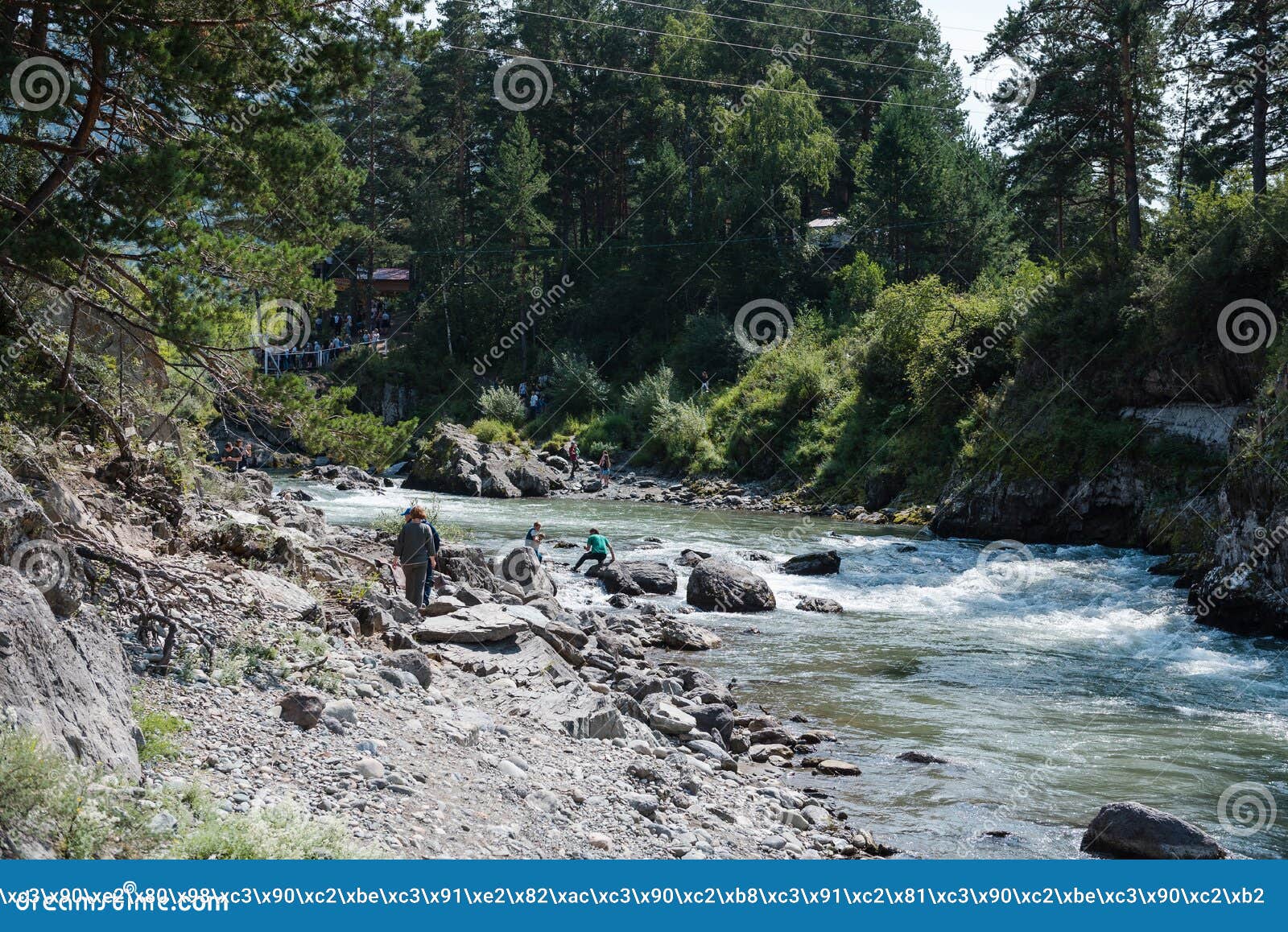 The Confluence of Two Rivers. Two Different Rivers are Connected into ...