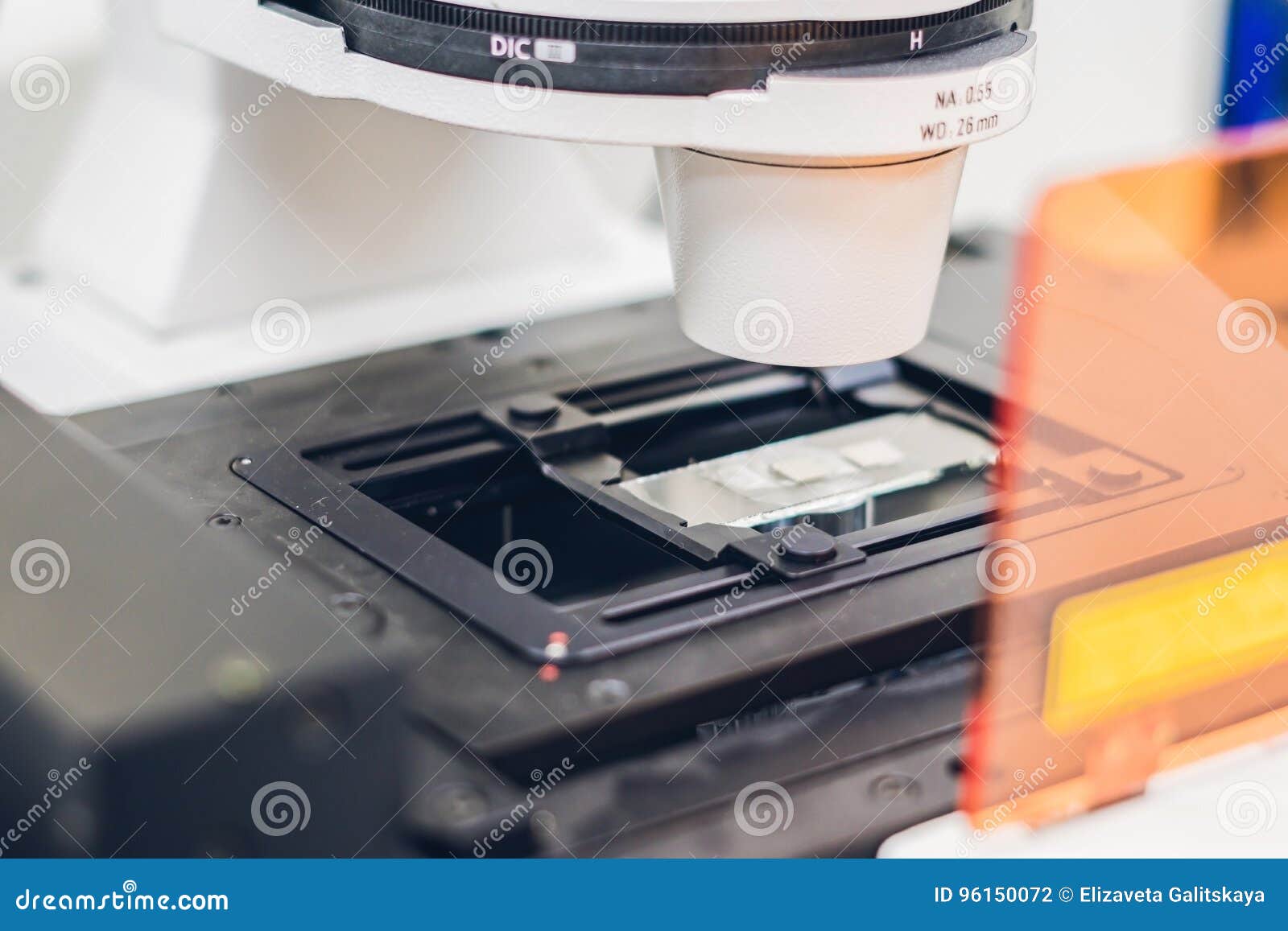 Confocal Scanning Microscope in Laboratory for Biological Sample Stock ...