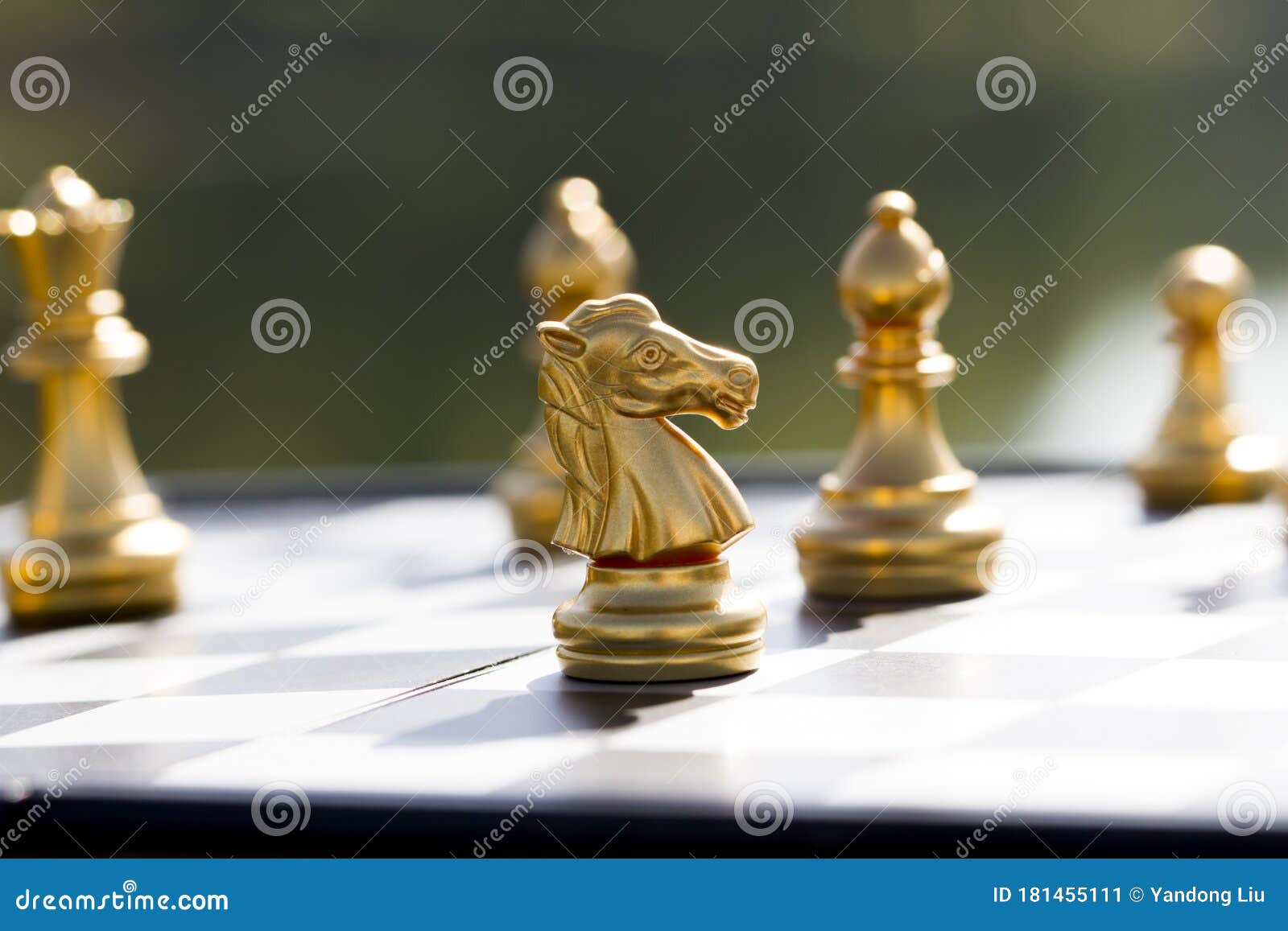 Confrontation and Cooperation between Different Pieces, Strategic ...