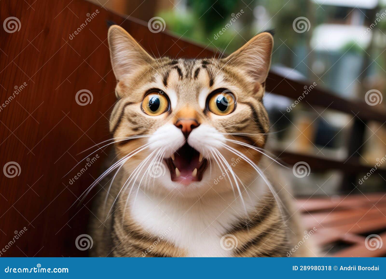 Confused Surprised Characters Set. Embarrassed Awkward Face Expressions ...