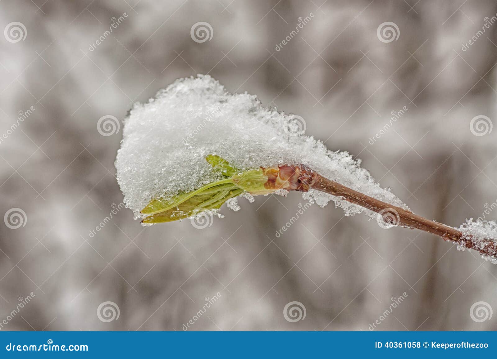 Confused Mother Nature stock photo. Image of beauty, nature - 40361058