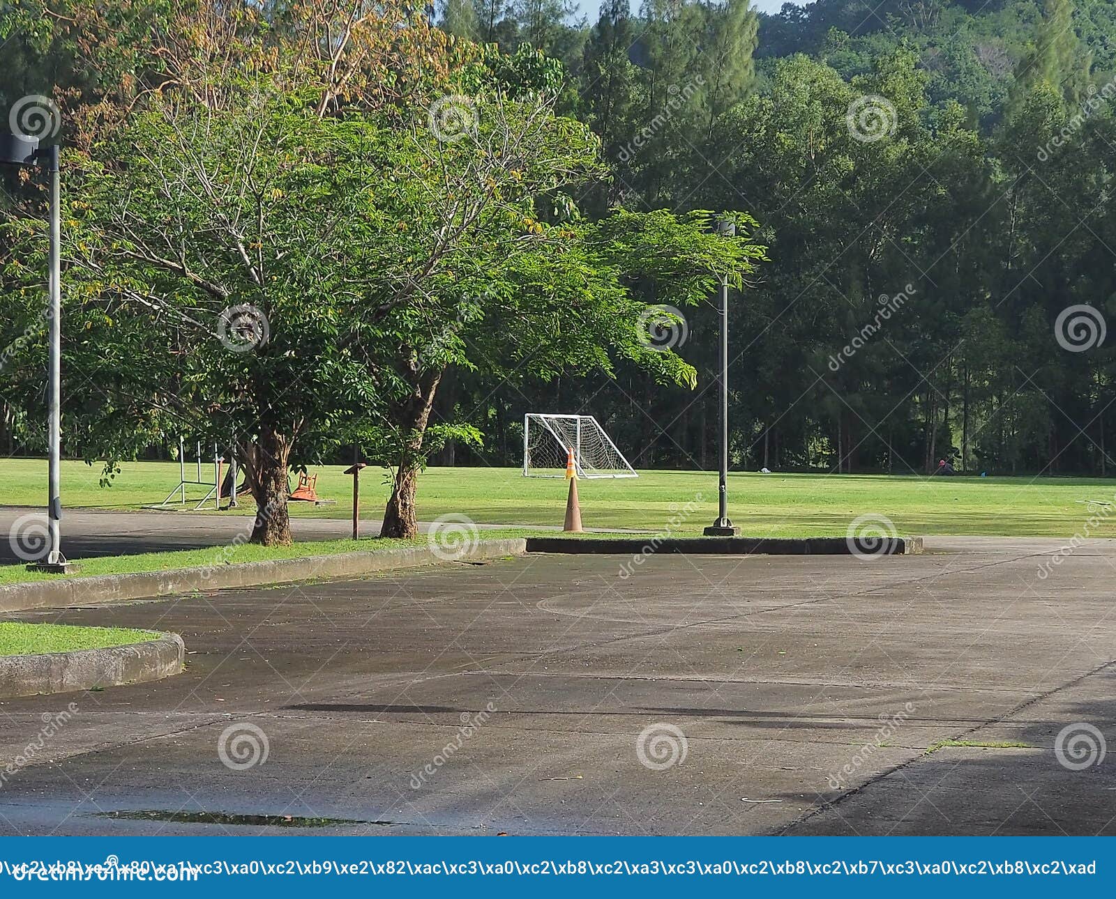 Confused triangle stock photo. Image of tree, road, garden - 251759518