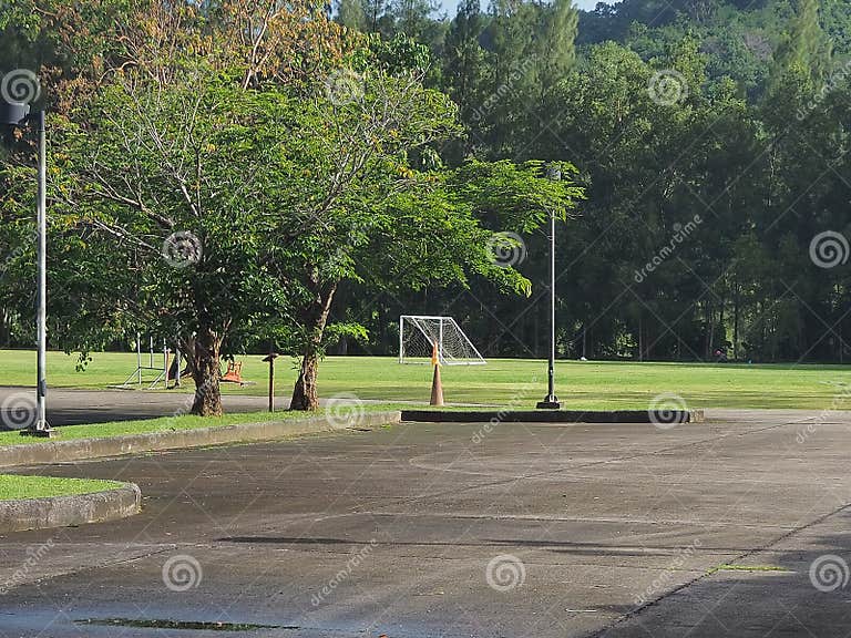 Confused triangle stock photo. Image of tree, road, garden - 251759518