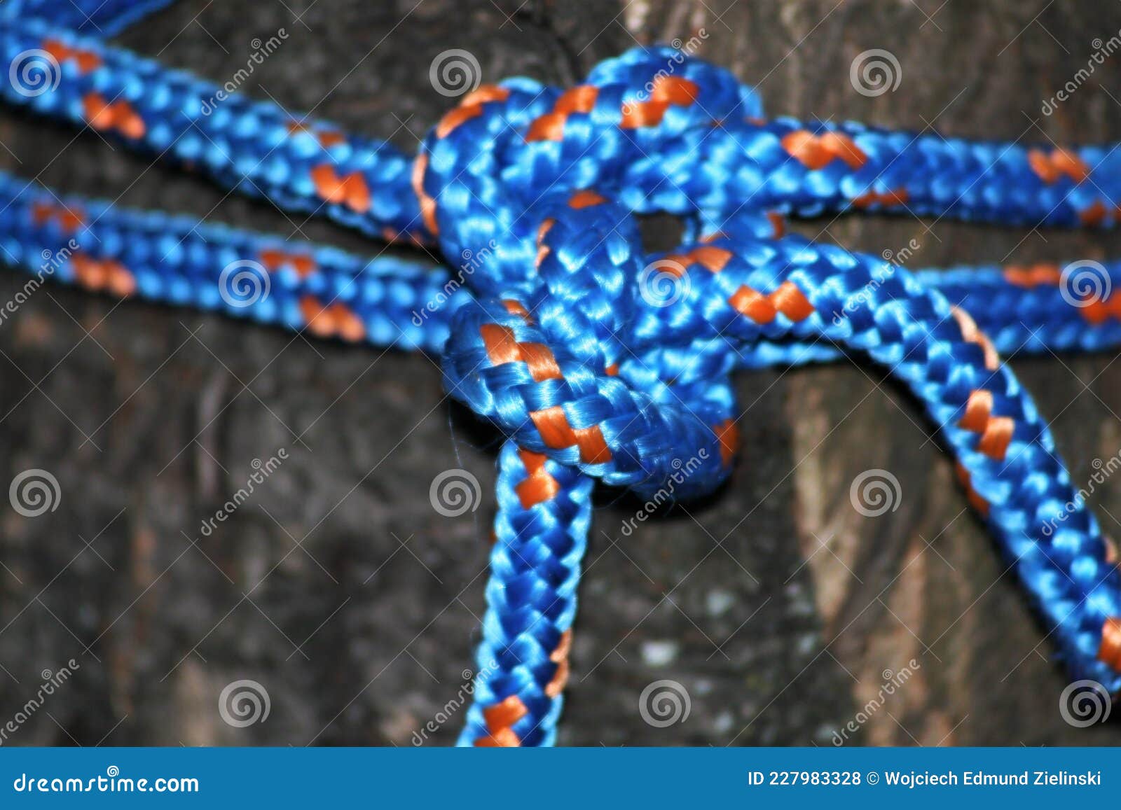 Can Every Knot Be Untangled? Stock Photo - Image of reptile, jewellery ...