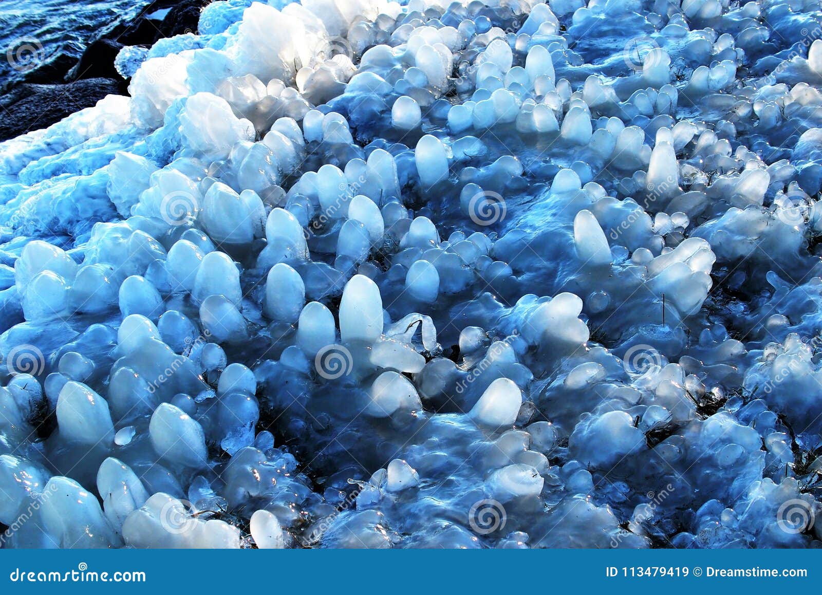 Congelato immagine stock. Immagine di olanda, ghiaccio - 113479419