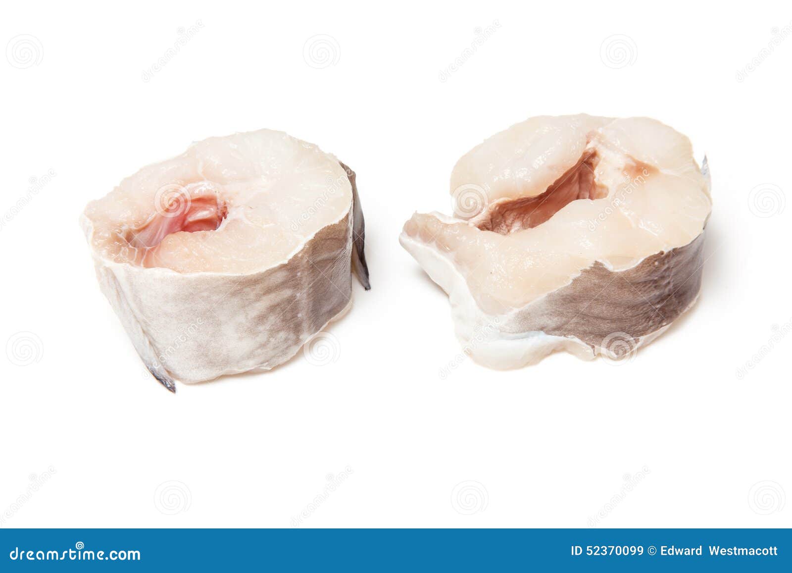 Conger eel fish steaks stock image. Image of fish, conger - 52370099