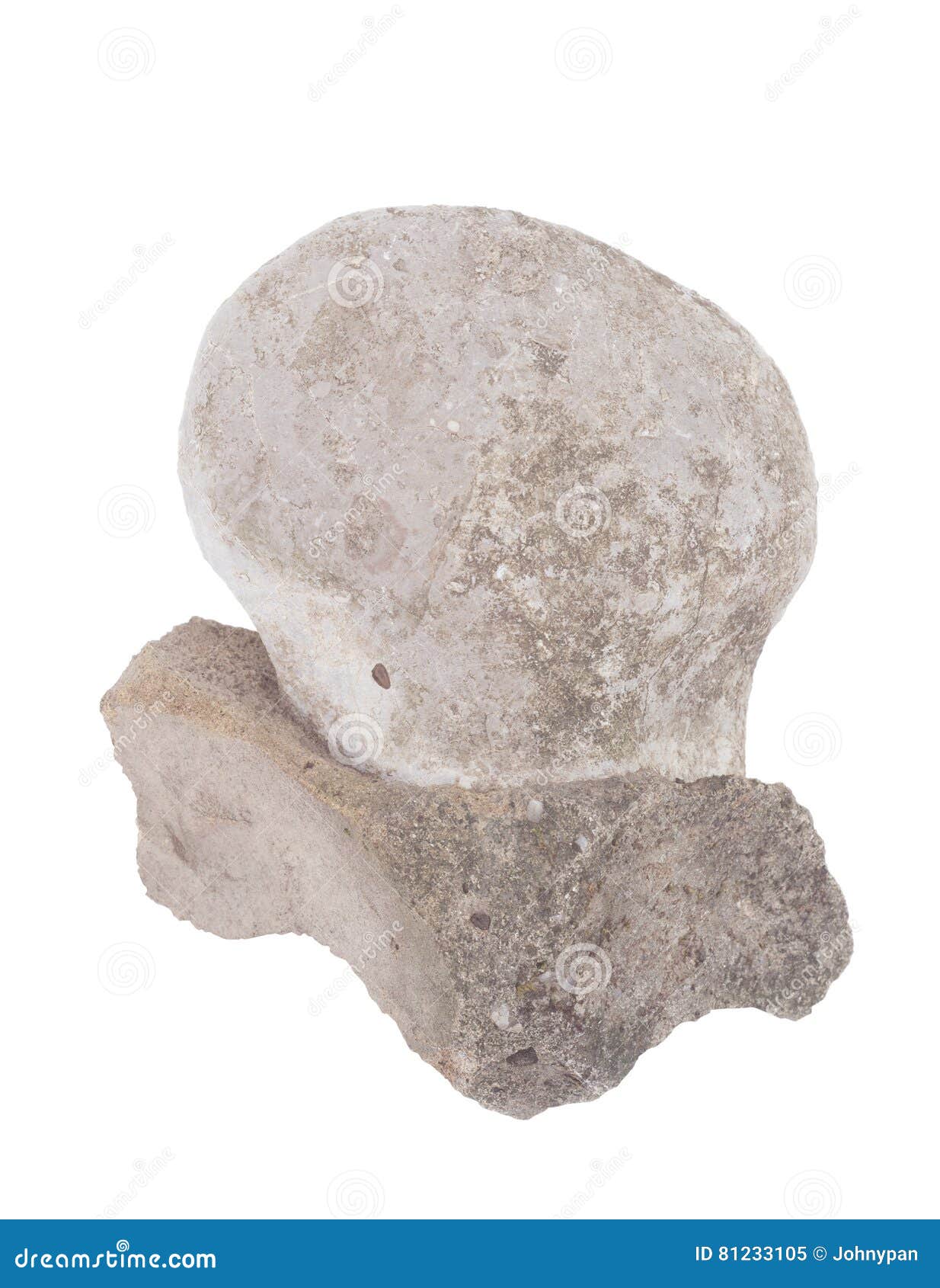 Conglomerate rock isolated stock image. Image of cracks - 81233105