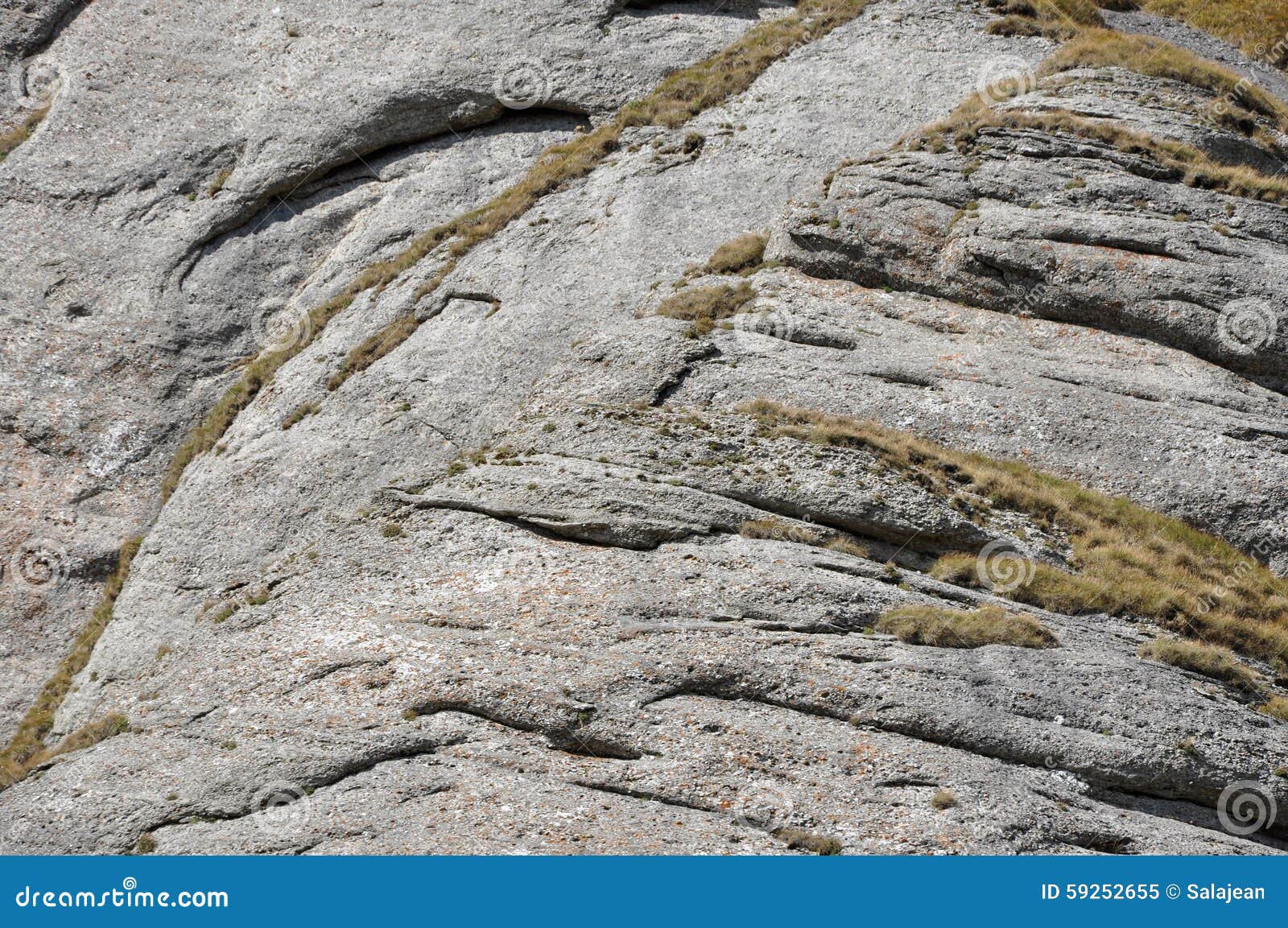 Conglomerate Rocks. Sedimentary Rock Texture Stock Image - Image of ...