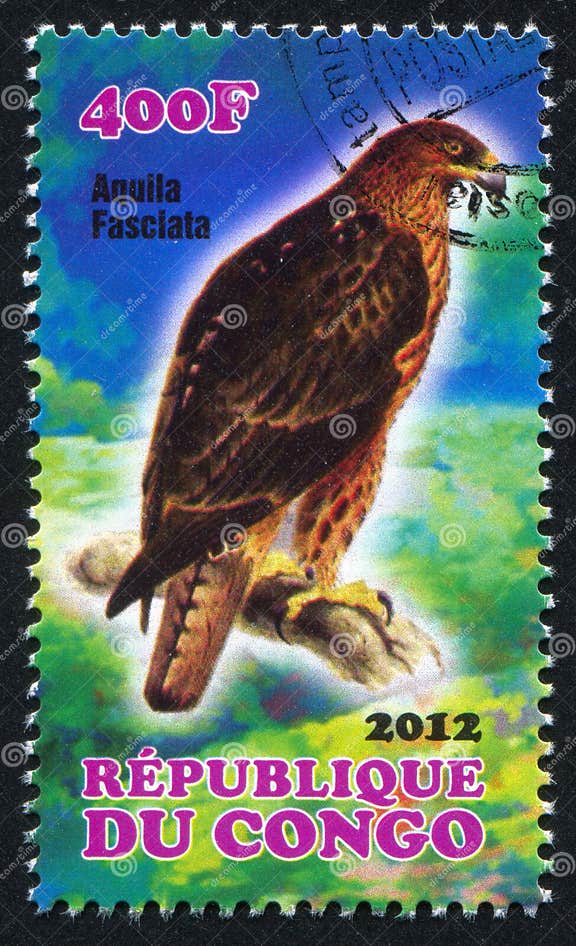 Bonellis Eagle editorial stock photo. Image of antique - 322786383