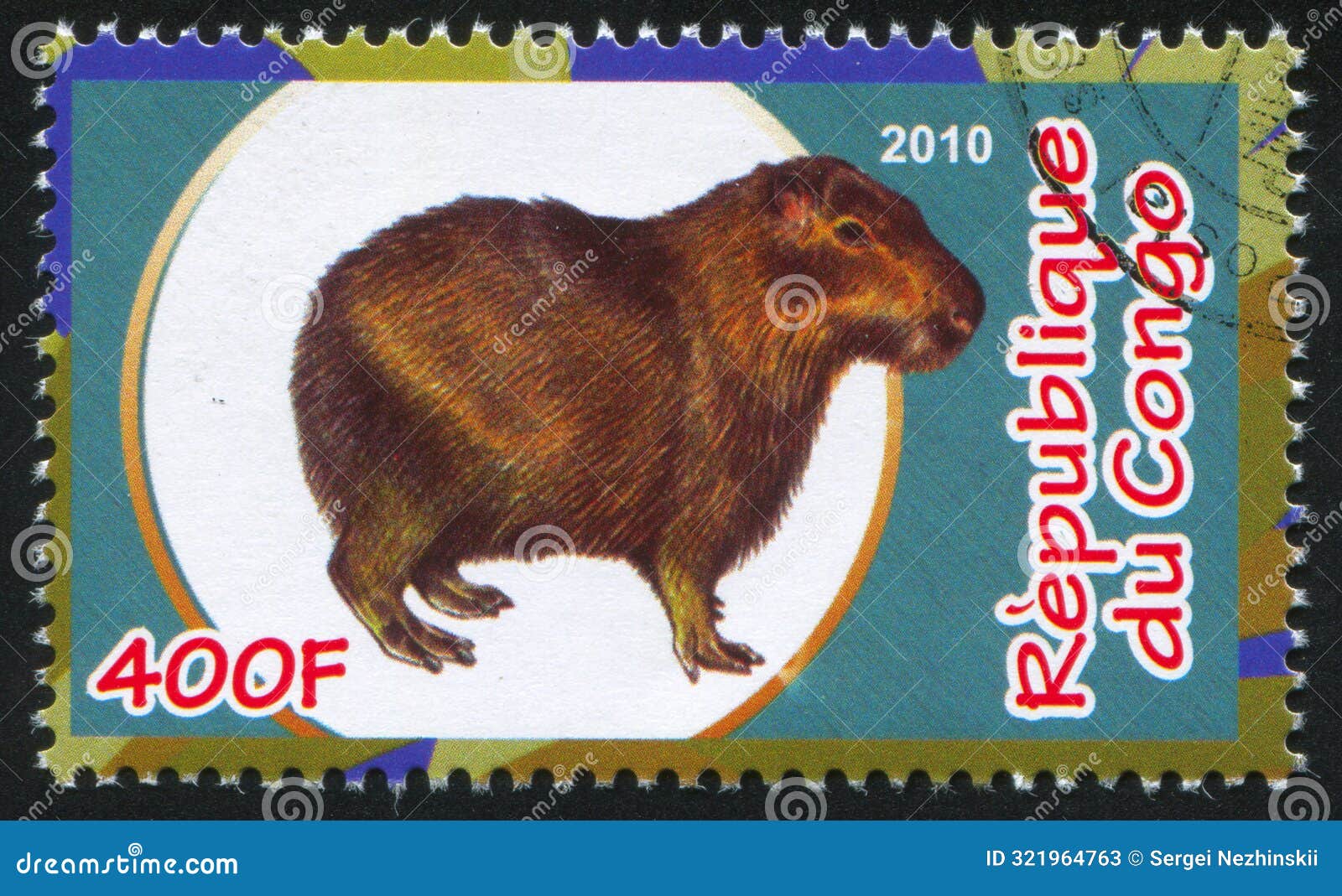 Capybara editorial stock photo. Image of snout, congo - 321964763