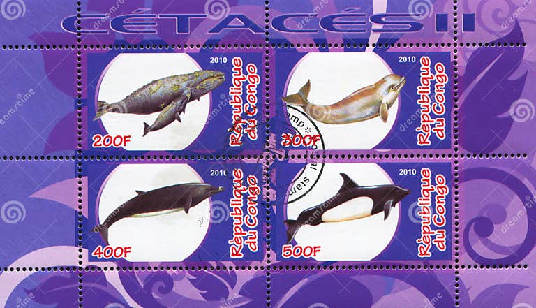 Dolphin printed by Congo stock photo. Image of postcard - 320355038