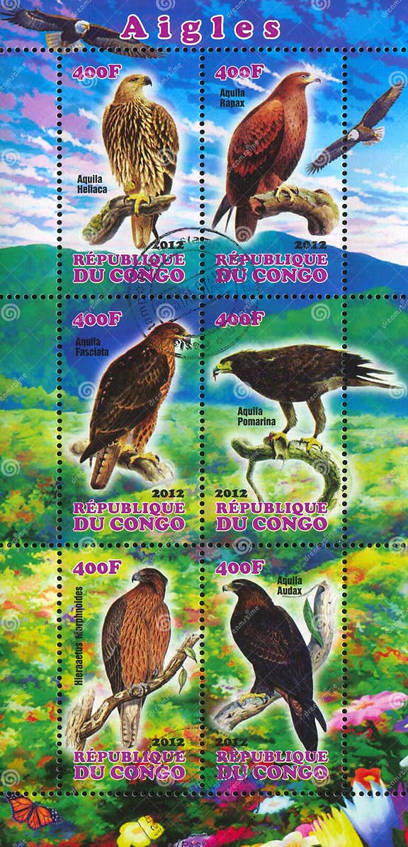 Eagle and Hawk editorial photo. Image of flight, beak - 322785641