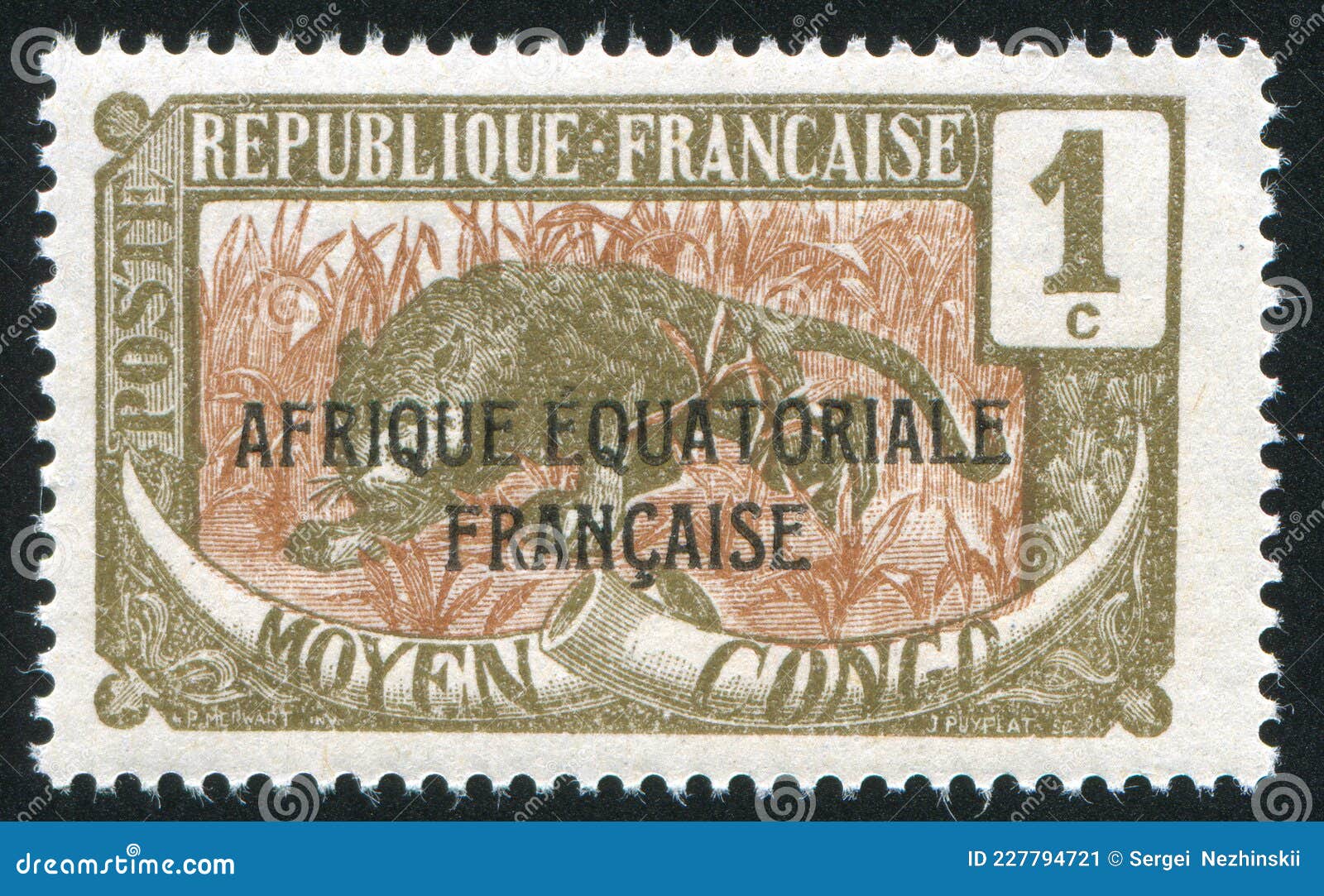 Leopard editorial photo. Image of beast, ancient, pressed - 227794721