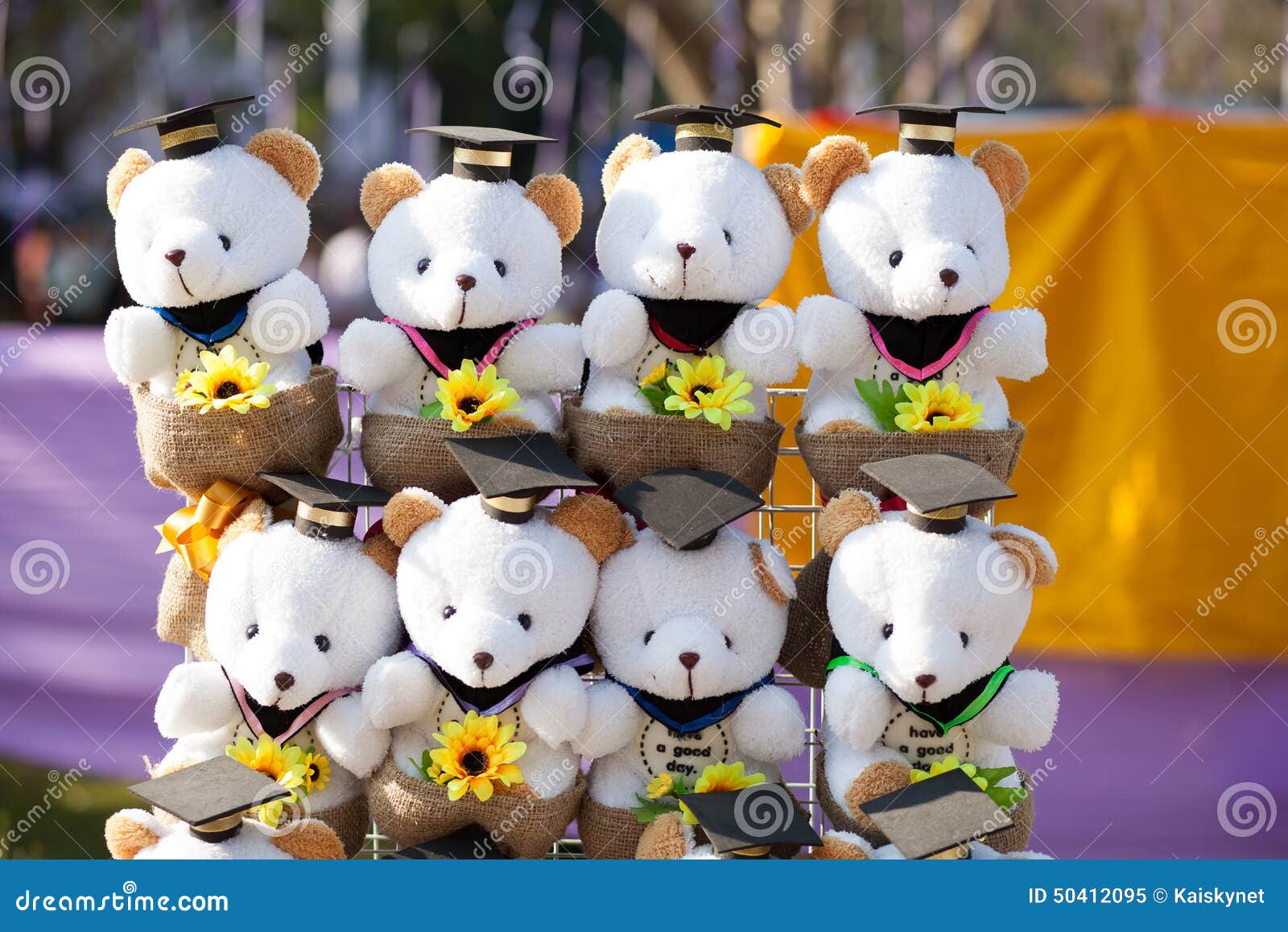 Congratulation Charming Teddy Bear Whit Graduation Cap Stock Image ...