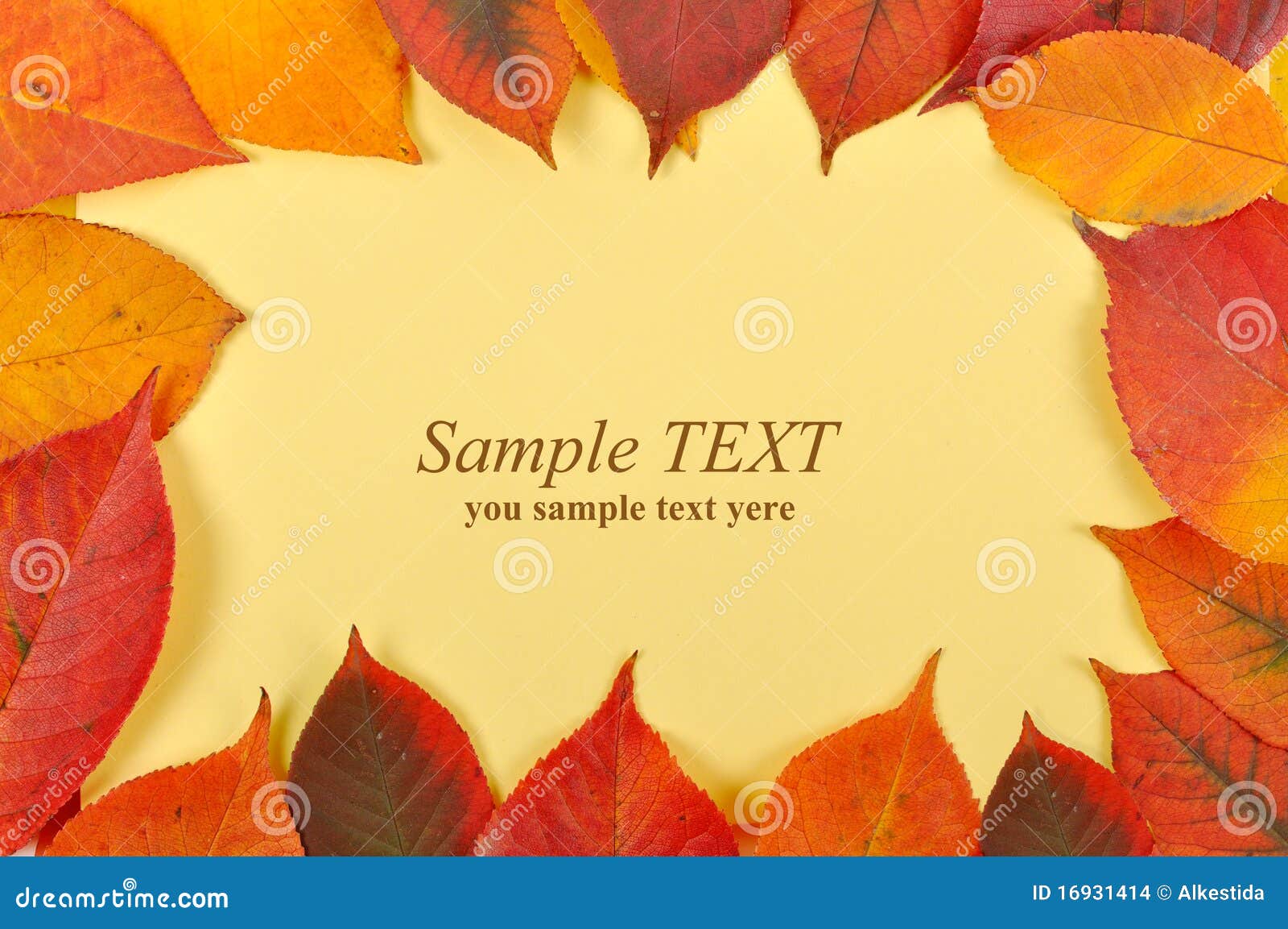 Congratulation Form Yellow Color in Foliage Stock Photo - Image of ...