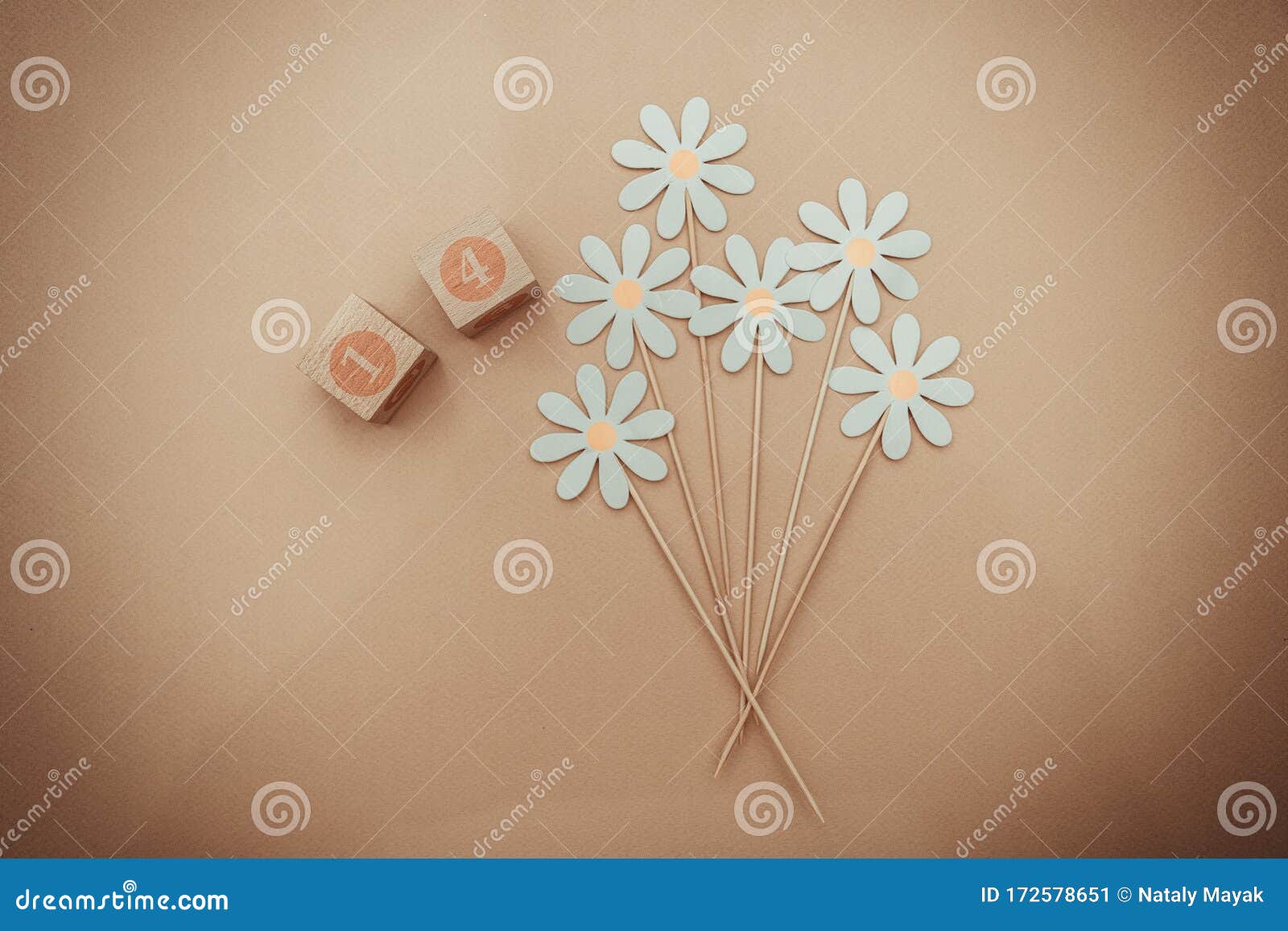 Congratulations and a Daisy on a Light Background with 14 Cubes. Mockup ...