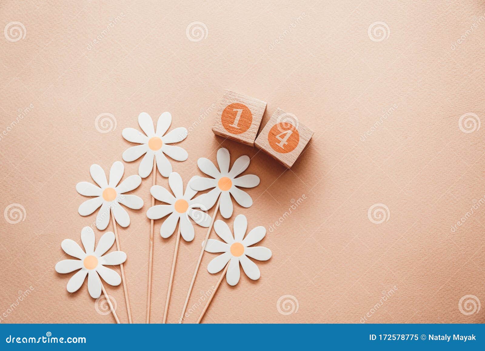 Congratulations and a Daisy on a Light Background with 14 Cubes. Mockup ...
