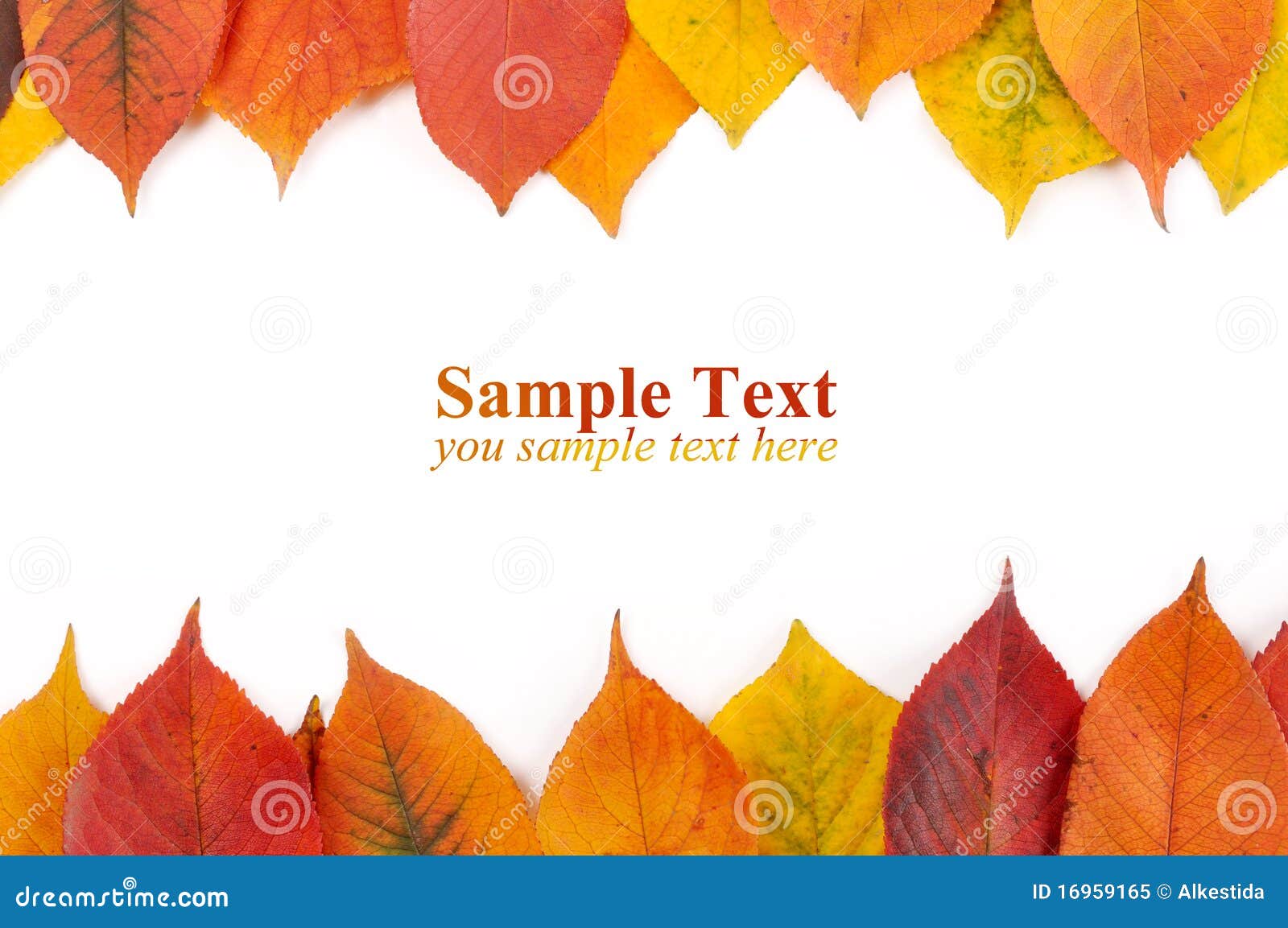 Congratulations Form in the Autumn Leaves Stock Image - Image of ...