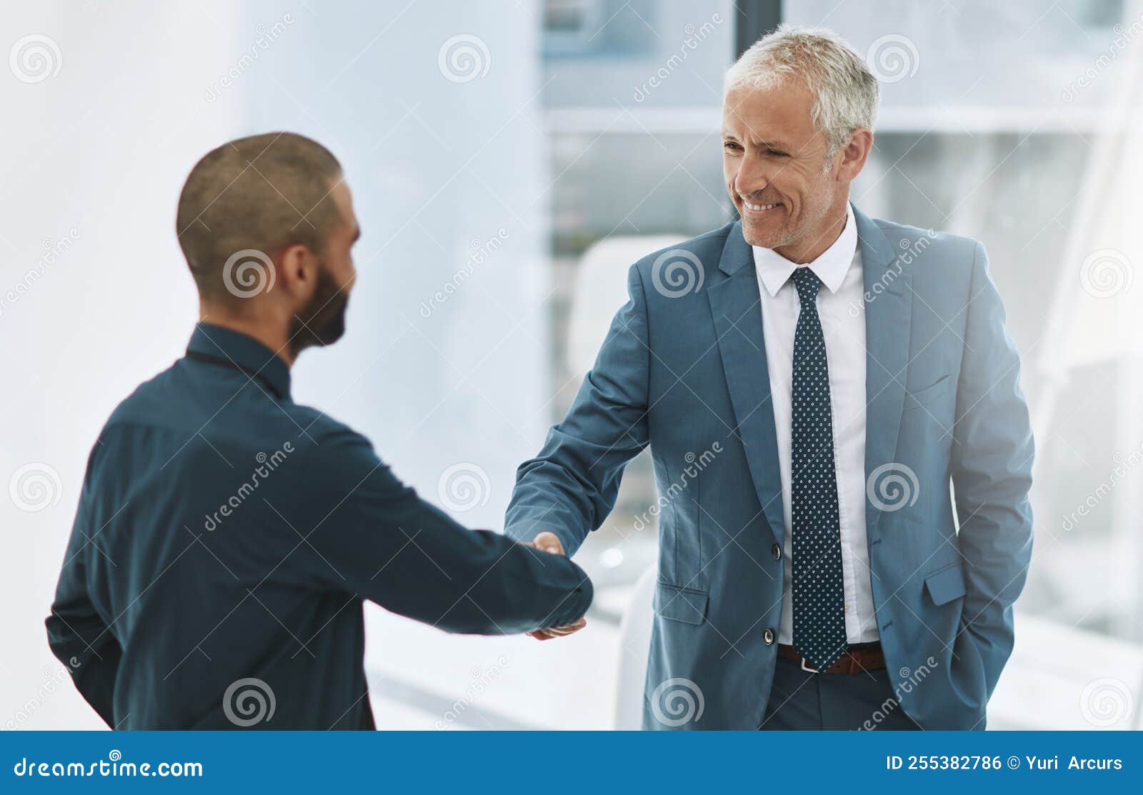 Congratulations. Two Businessmen Shaking Hands in the Office. Stock ...