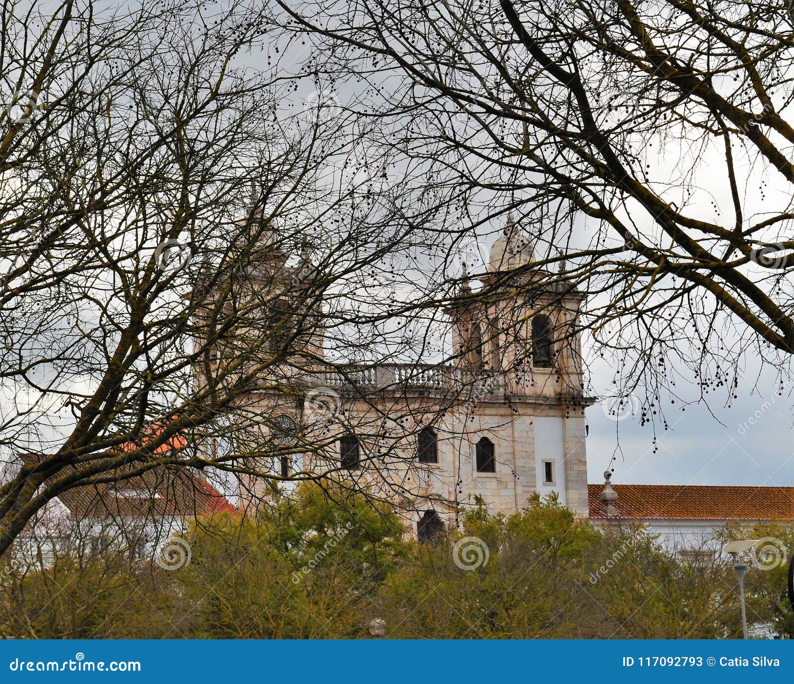 Congregation Convent - Main Frontage Behind the Trees in the Winter ...