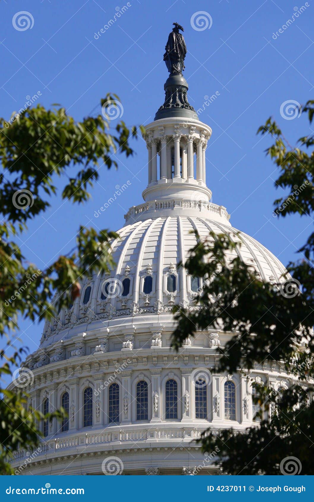 Congress Dome, Capitol Hill Stock Image - Image of washington, trees ...