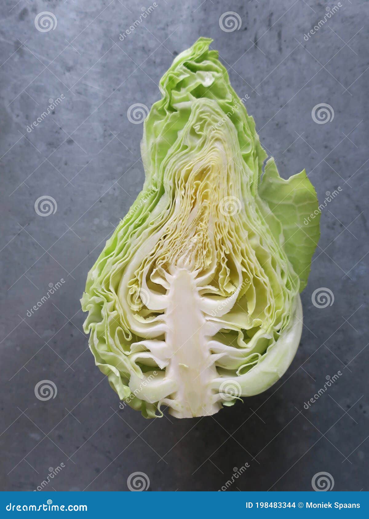 Conical Cabbage with Cureld Leaves Split in Two Halves Stock Photo ...